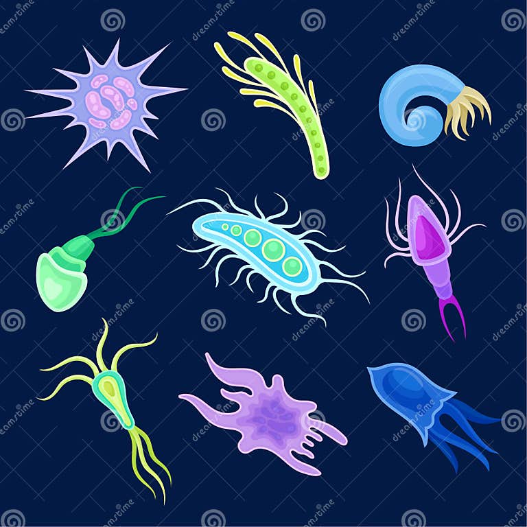 Set of Different Types of Plankton. Vector Illustration on Black ...