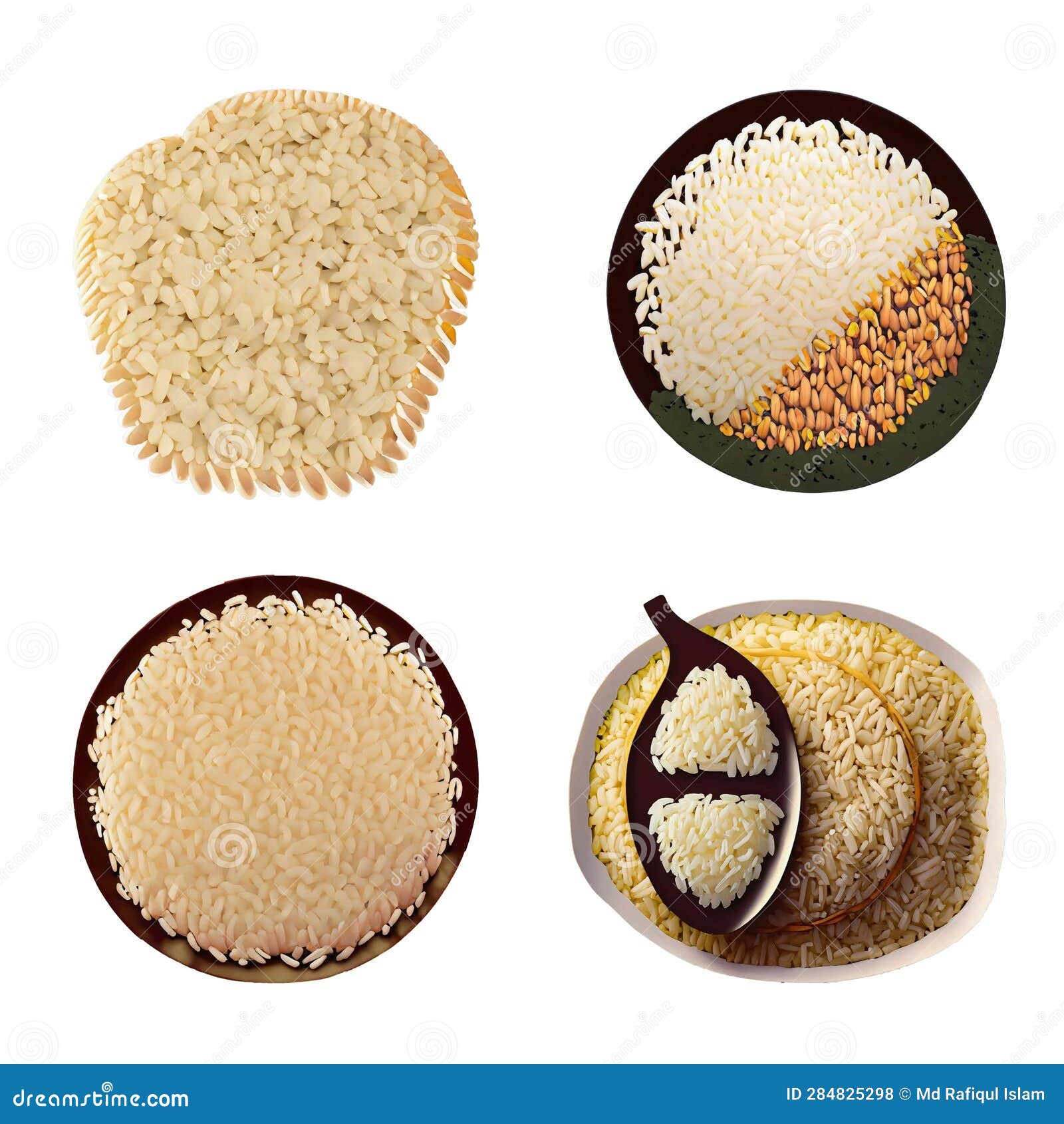 Types Of Rice. Cartoon Vector | CartoonDealer.com #226200825