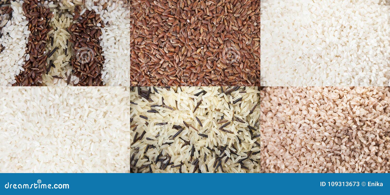 Set of Different Types of Rice Stock Image - Image of nature, diet ...