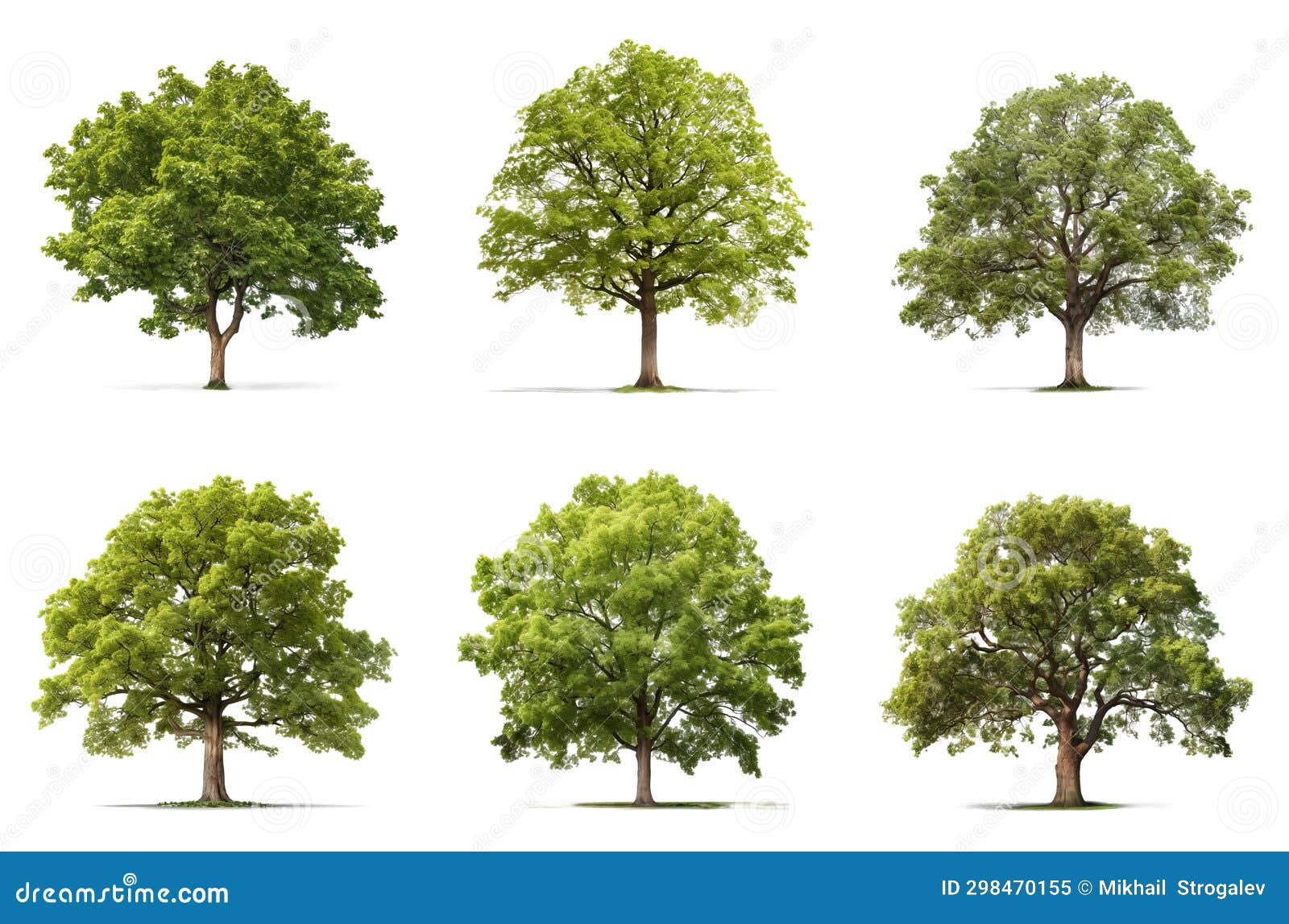 Set of a Different Types of Trees Stock Illustration - Illustration of ...