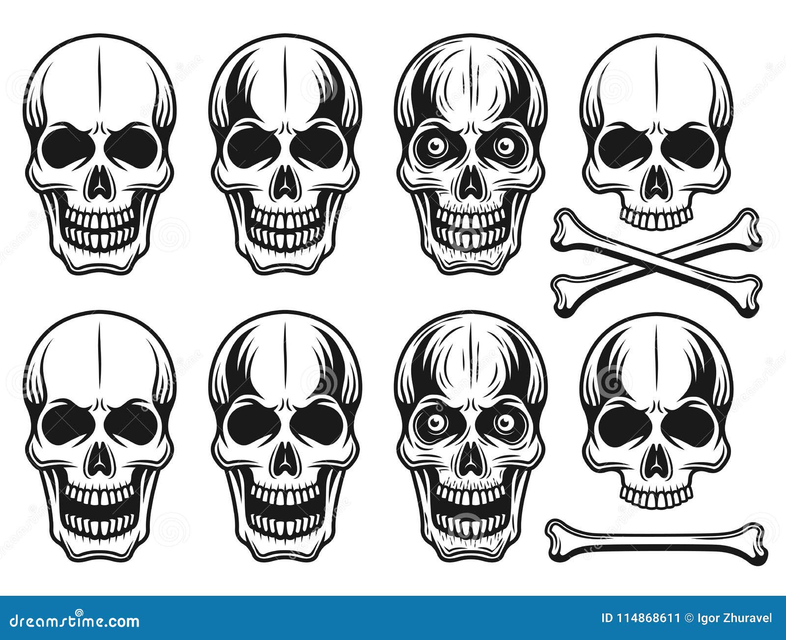 Set of Different Variants Skulls Vector Elements Stock Vector ...
