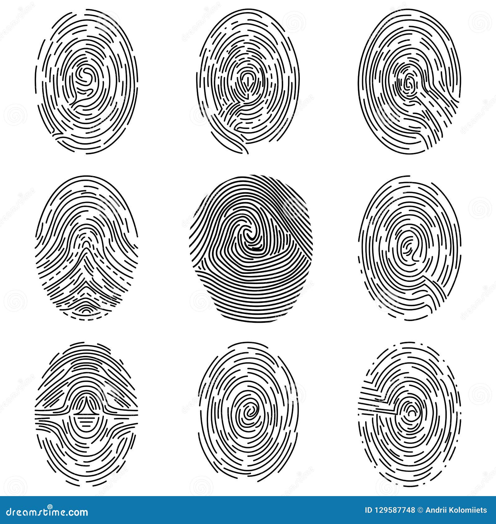 Set of Different Vector Outline Fingerprint Identity Person Touch ID ...