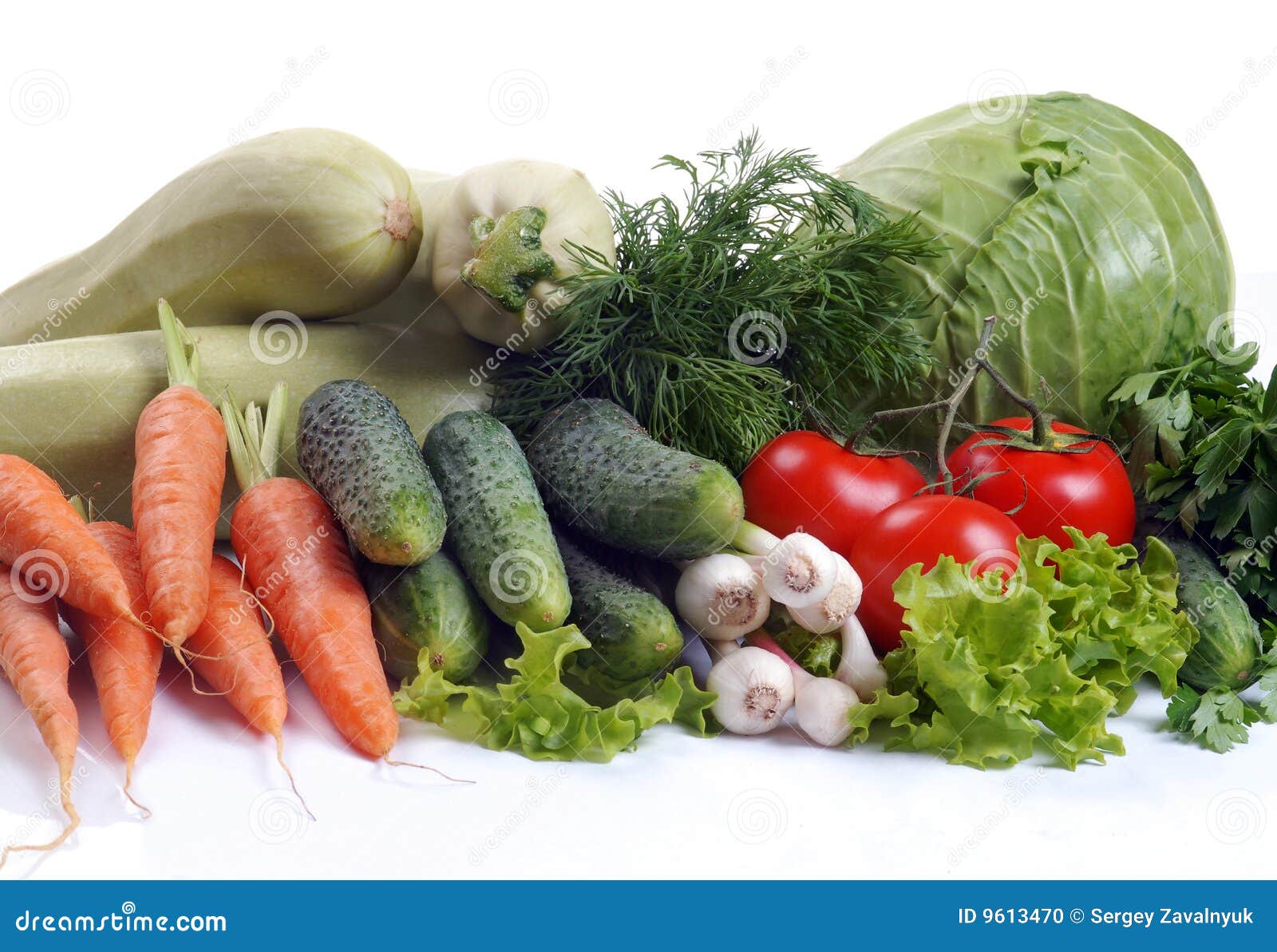 Set of Different Vegetables Stock Photo - Image of parsley, fennel: 9613470