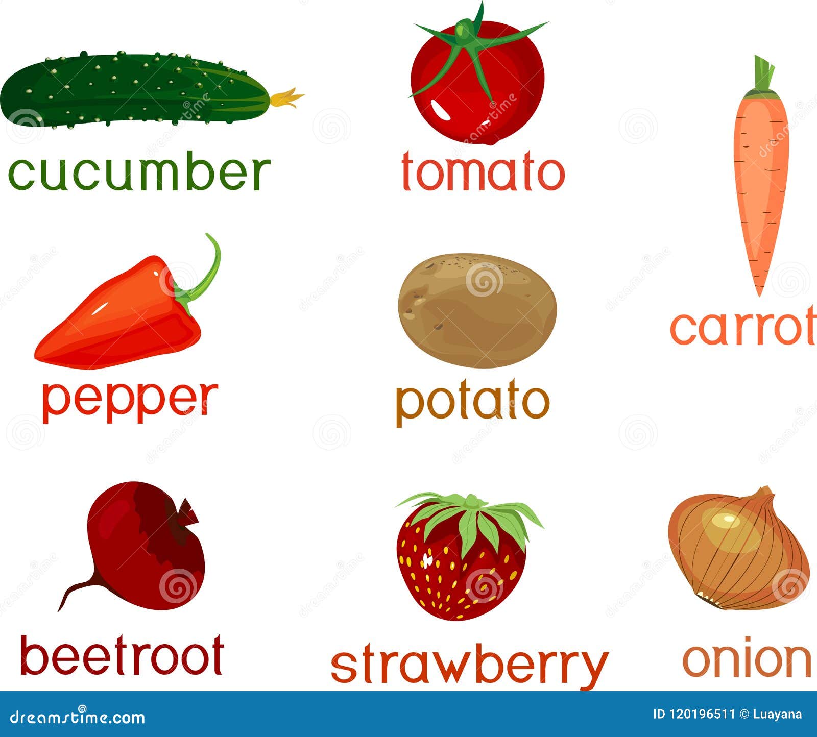 Set of Different Vegetables with Titles on White Background Stock ...