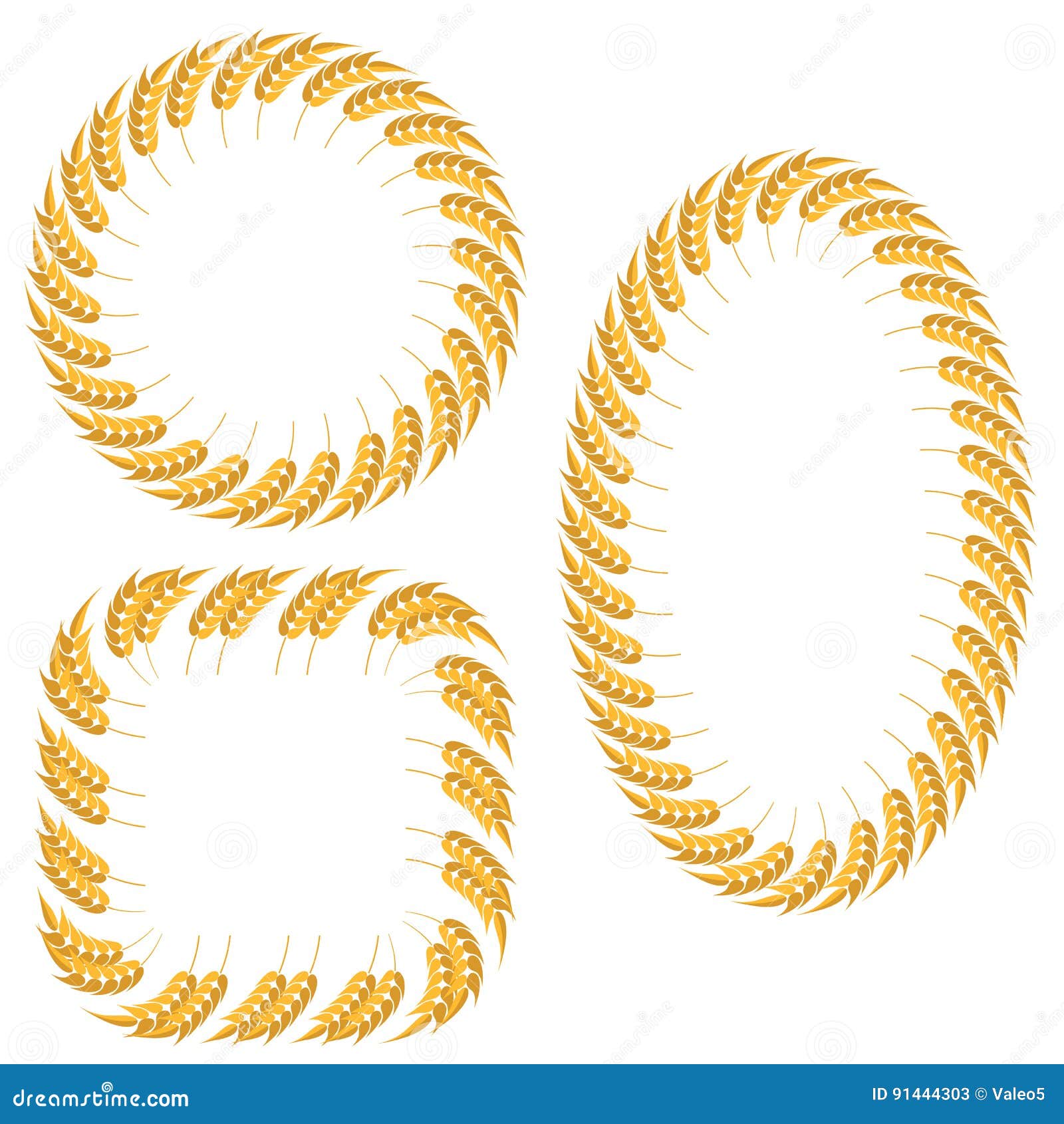 Set of Different Wheat Frames Isolated Stock Vector - Illustration of ...