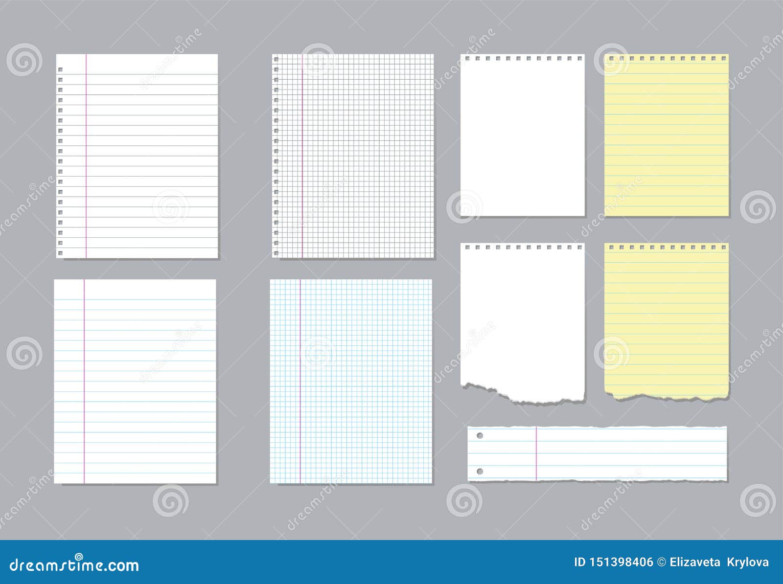 Pieces Of Torn Paper.Set Of Different Notebook Paper. School Sheets ...