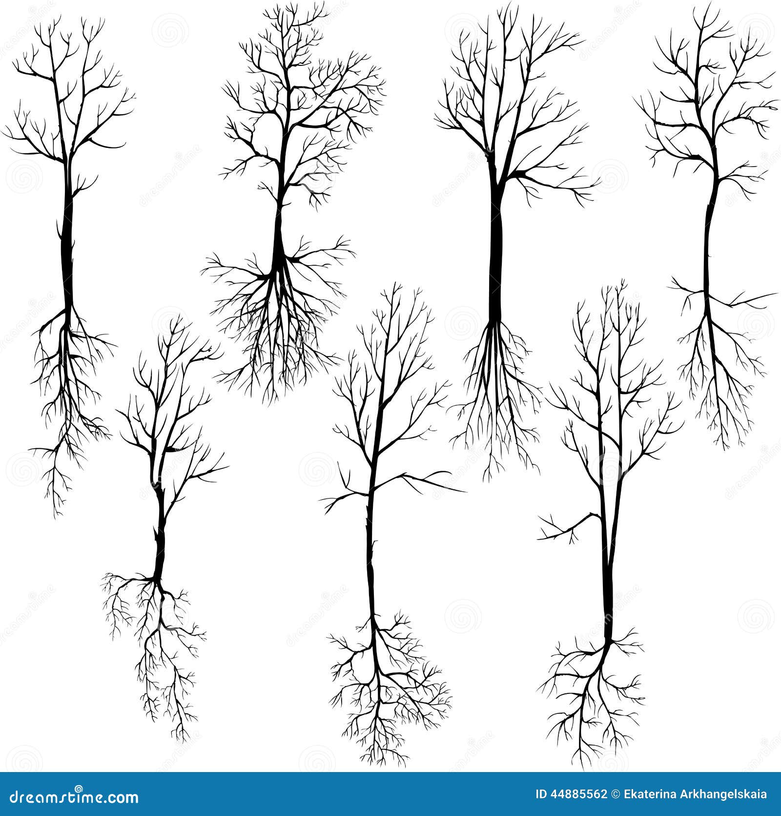 Set of Different Winter Trees and Roots Stock Vector - Illustration of ...