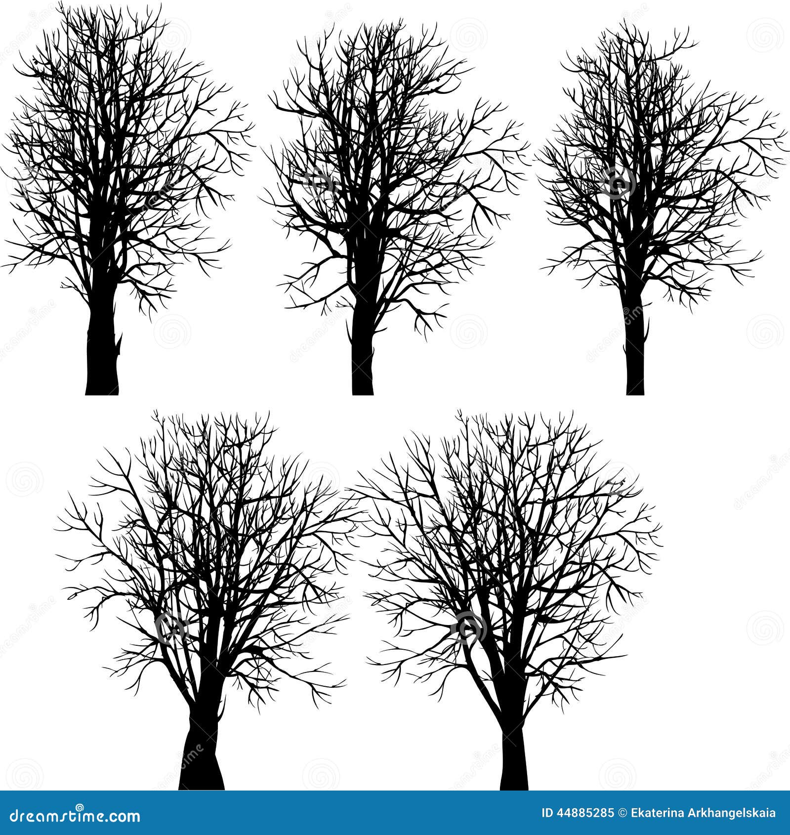 Set of Different Winter Trees Stock Vector - Illustration of shape ...