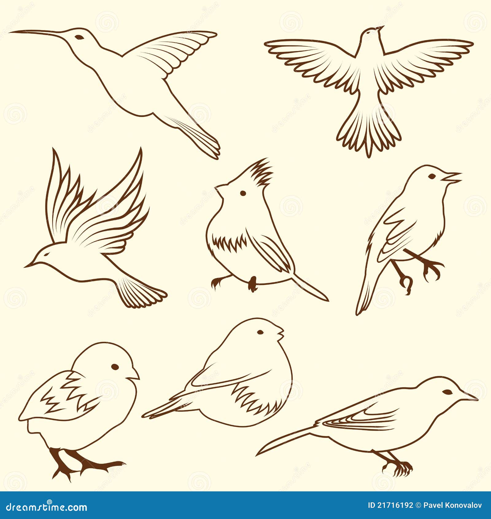Sketch Of Bird Vector Illustration | CartoonDealer.com #74415834