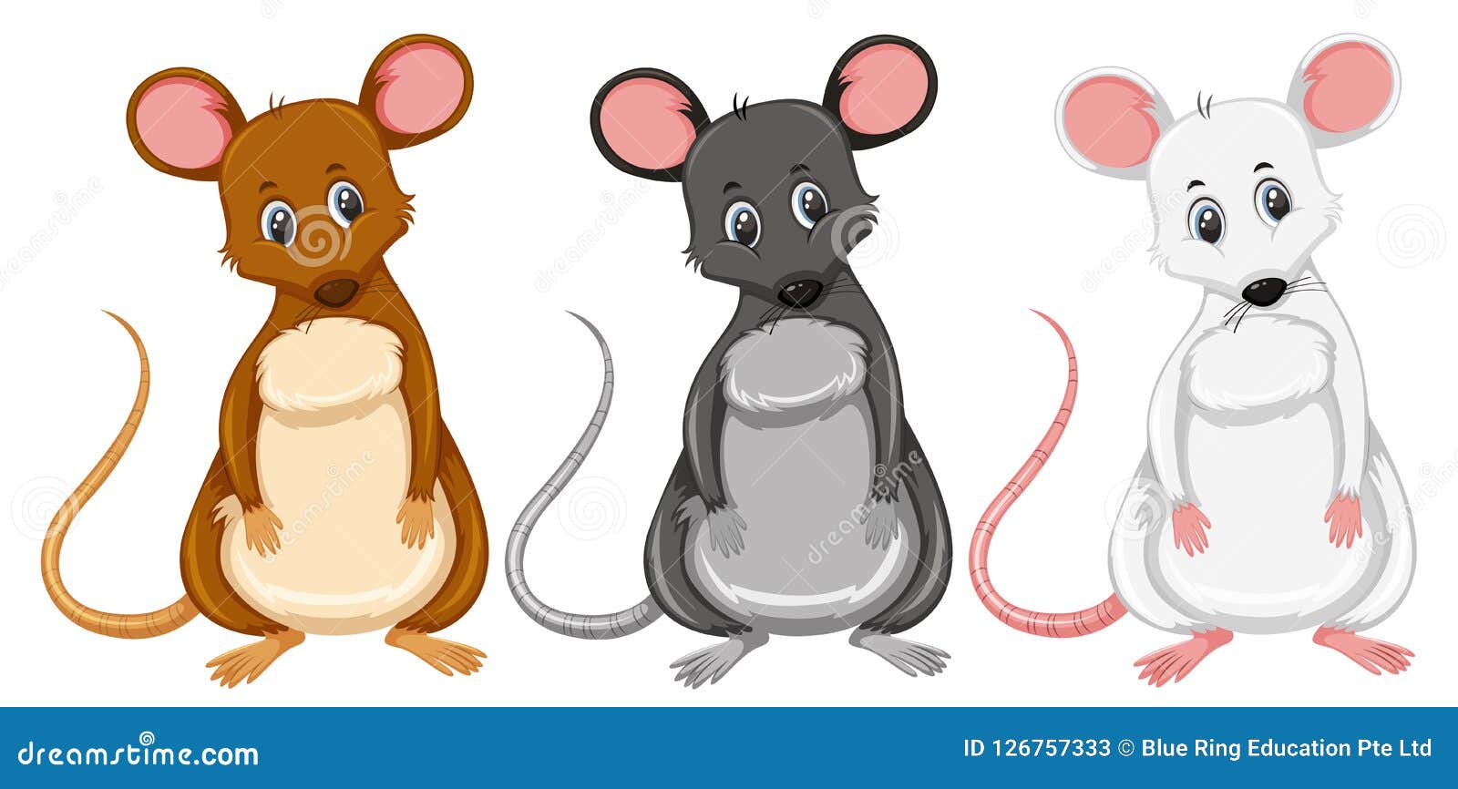 A Set of Differnt Color Rat Stock Vector - Illustration of mammal ...
