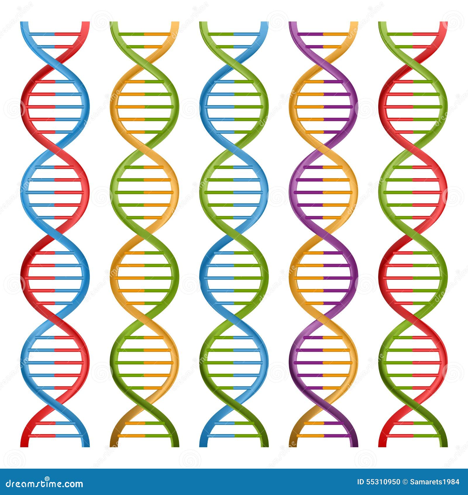 Set Of DNA Symbols For Science And Medicine. Stock Vector - Image: 55310950