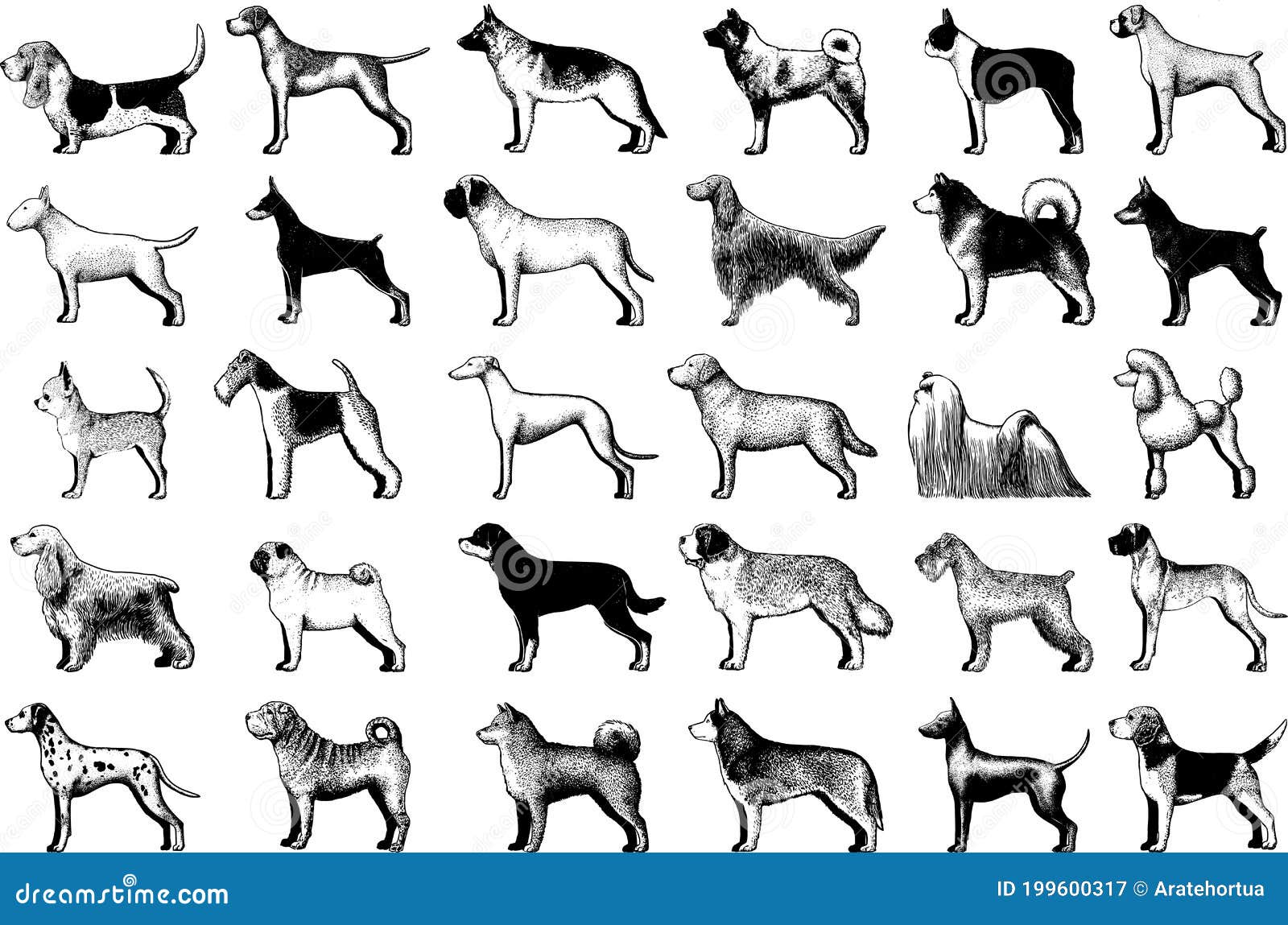 Set of dogs breeds stock vector. Illustration of terrier - 199600317