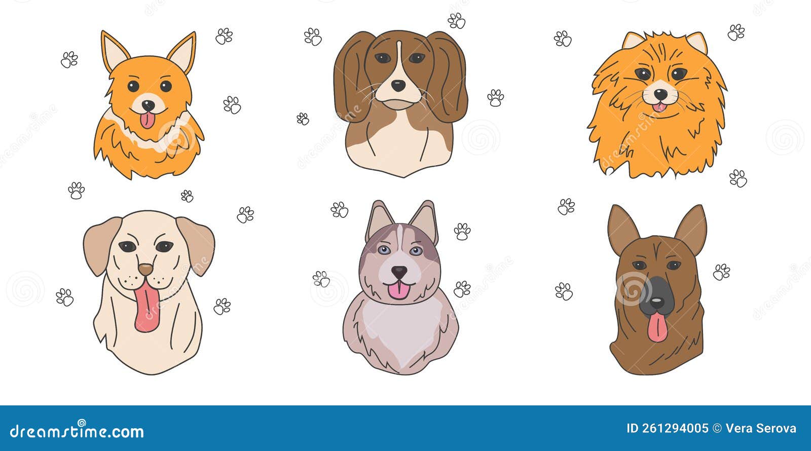 Dog Breeds Doodle Infographics Vector Illustration | CartoonDealer.com #250071396