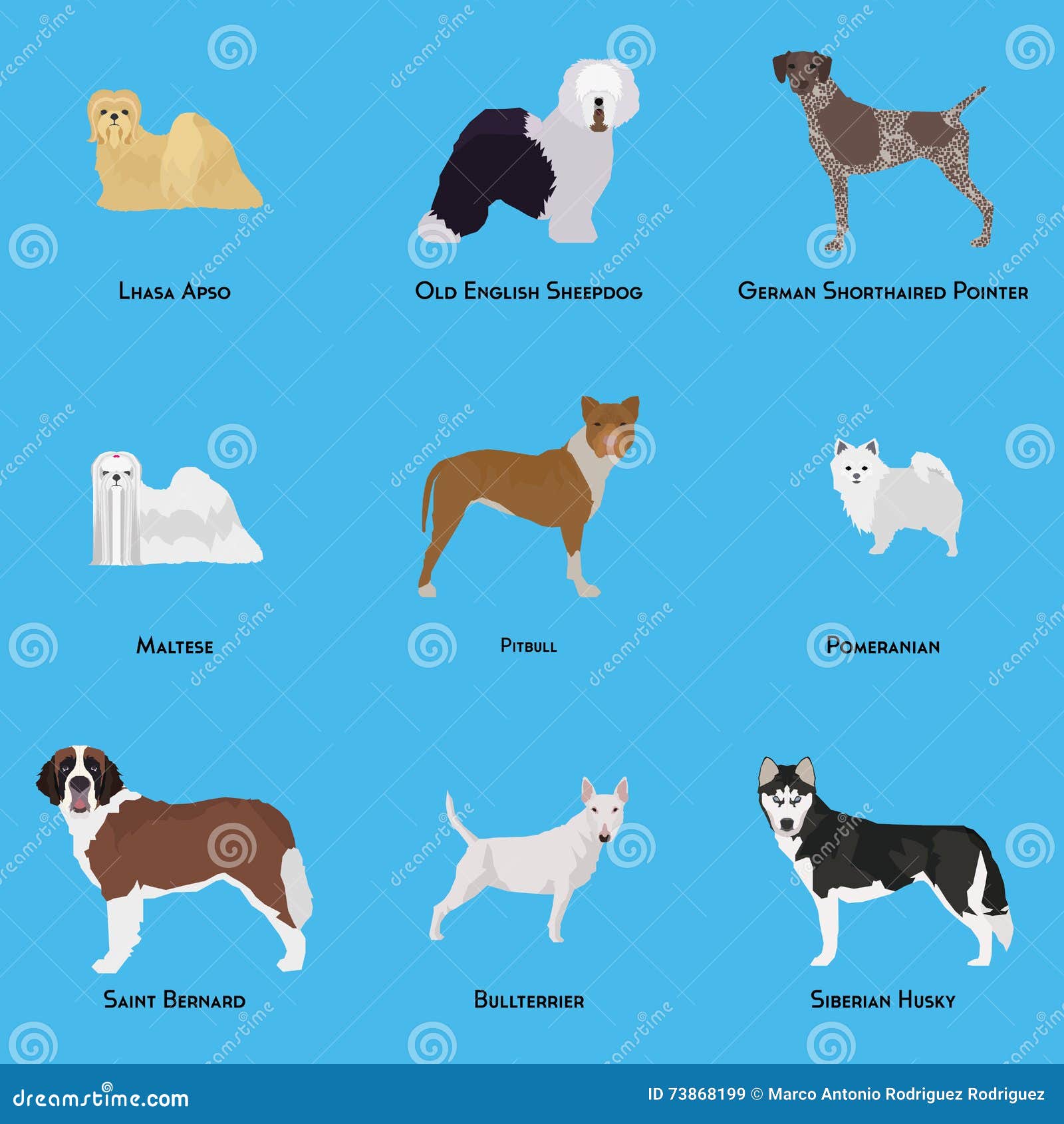 Set of dogs stock illustration. Illustration of happy - 73868199