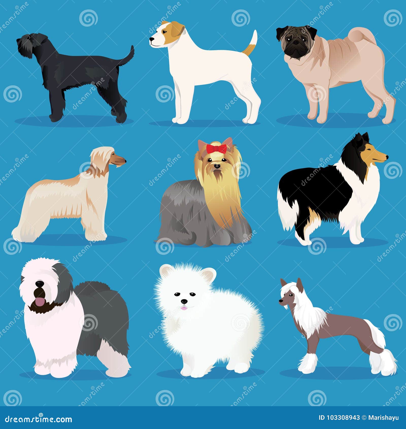 Set of dogs stock illustration. Illustration of animal - 103308943