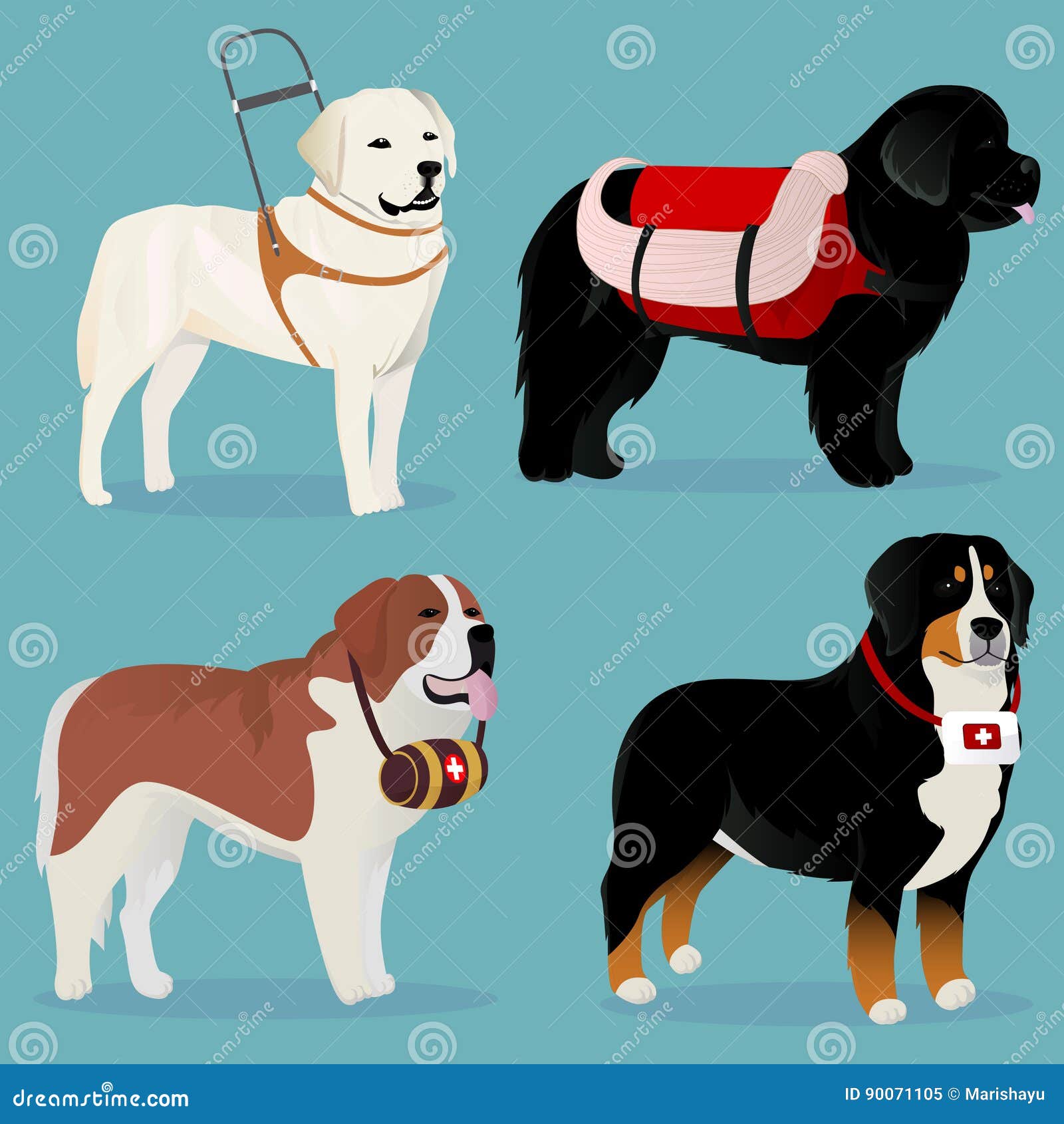 Set of Dogs Rescuers and Helpers Stock Vector - Illustration of vector ...