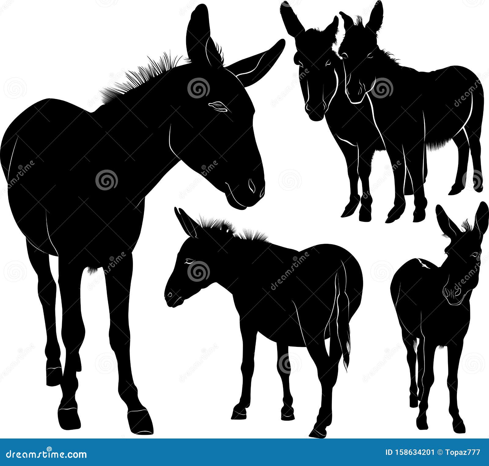 Drawing Of Two Donkeys And A Rabbit Royalty-Free Illustration ...