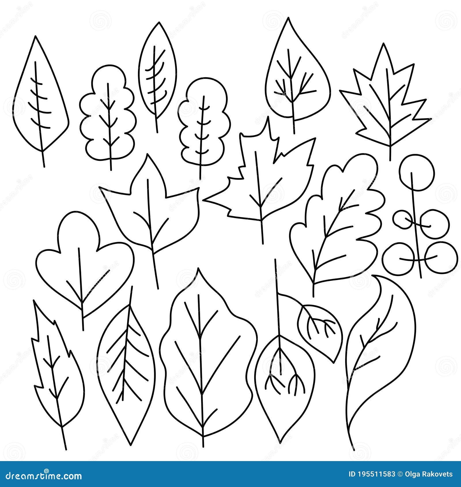 Set of Doodle Leaves with Different Trees, Simple Image of a Leaf Stock ...