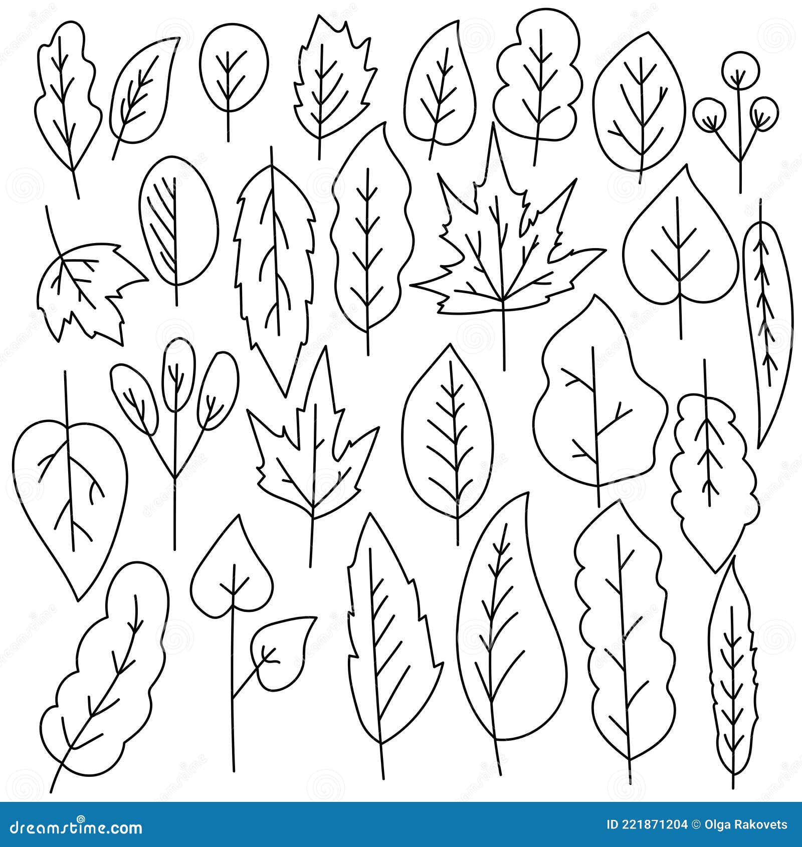 A Set of Doodle Leaves of Various Shapes and Sizes, an Outline Leaf ...