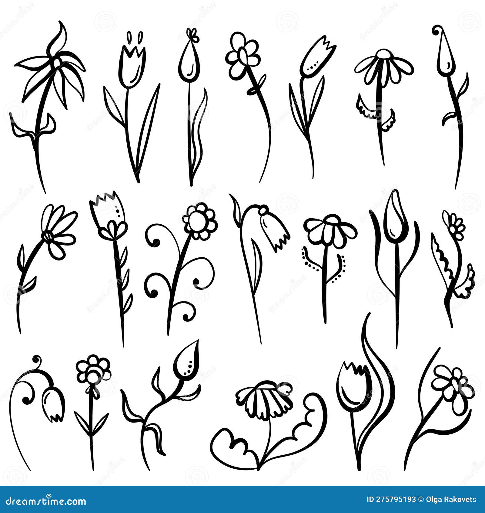 Set of Doodle Outline Flowers with Different Options for Leaves and ...
