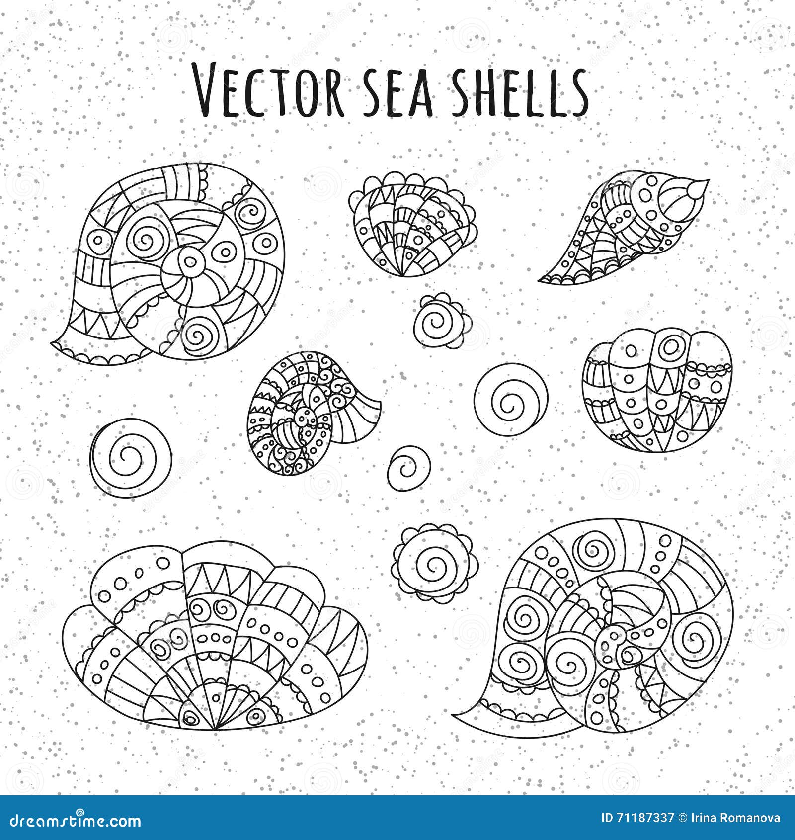 Set of Doodle Sea Shells for Design Stock Vector - Illustration of hand ...