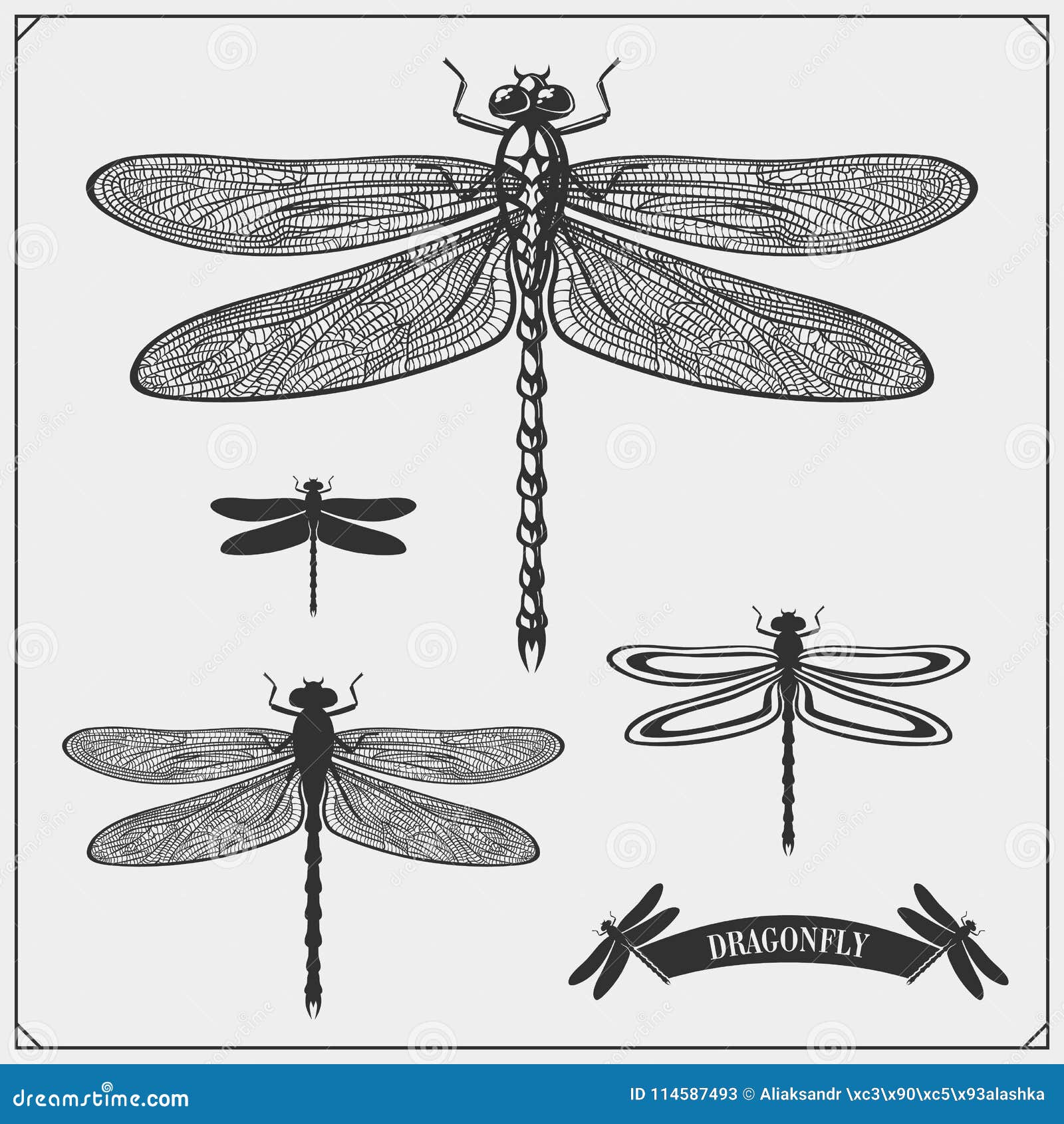 Set of Dragonflies. Vector. Stock Vector - Illustration of symbol ...