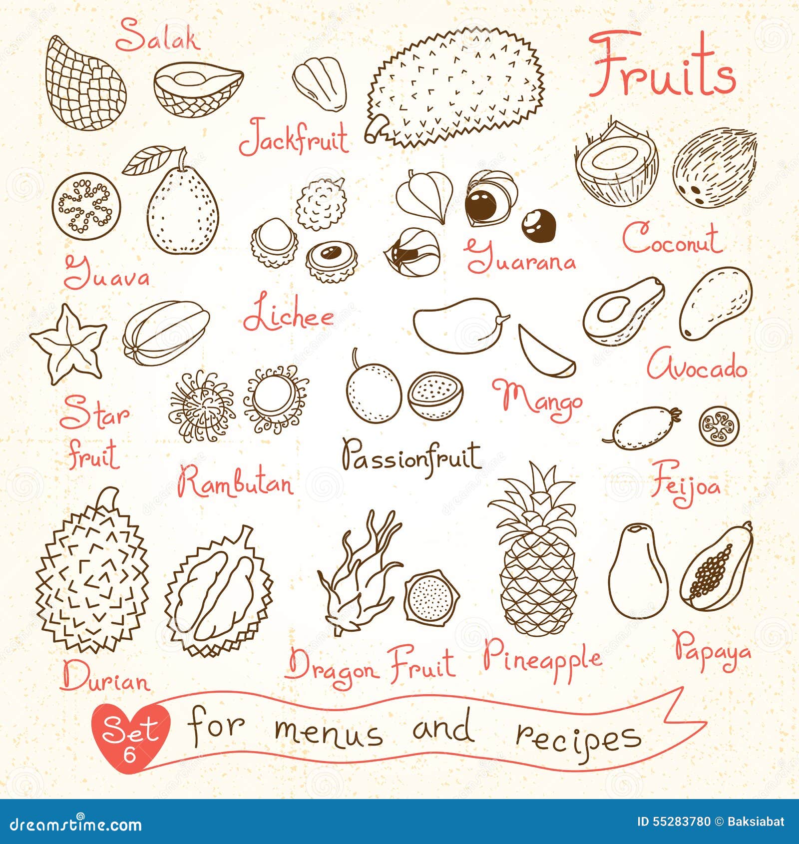Set Drawings of Fruit for Design Menus, Recipes Stock Vector ...