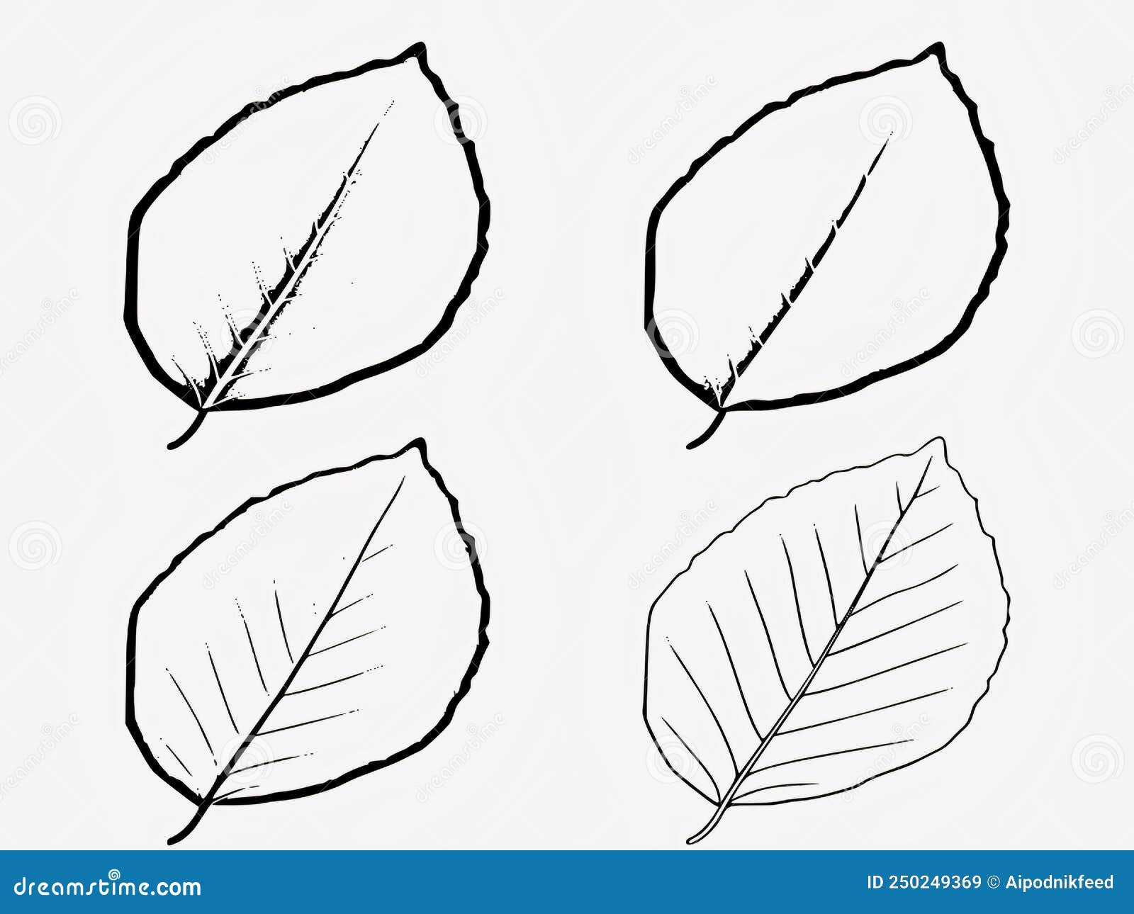 Set of Drawn Tree Leaves in Vector Stock Illustration - Illustration of ...