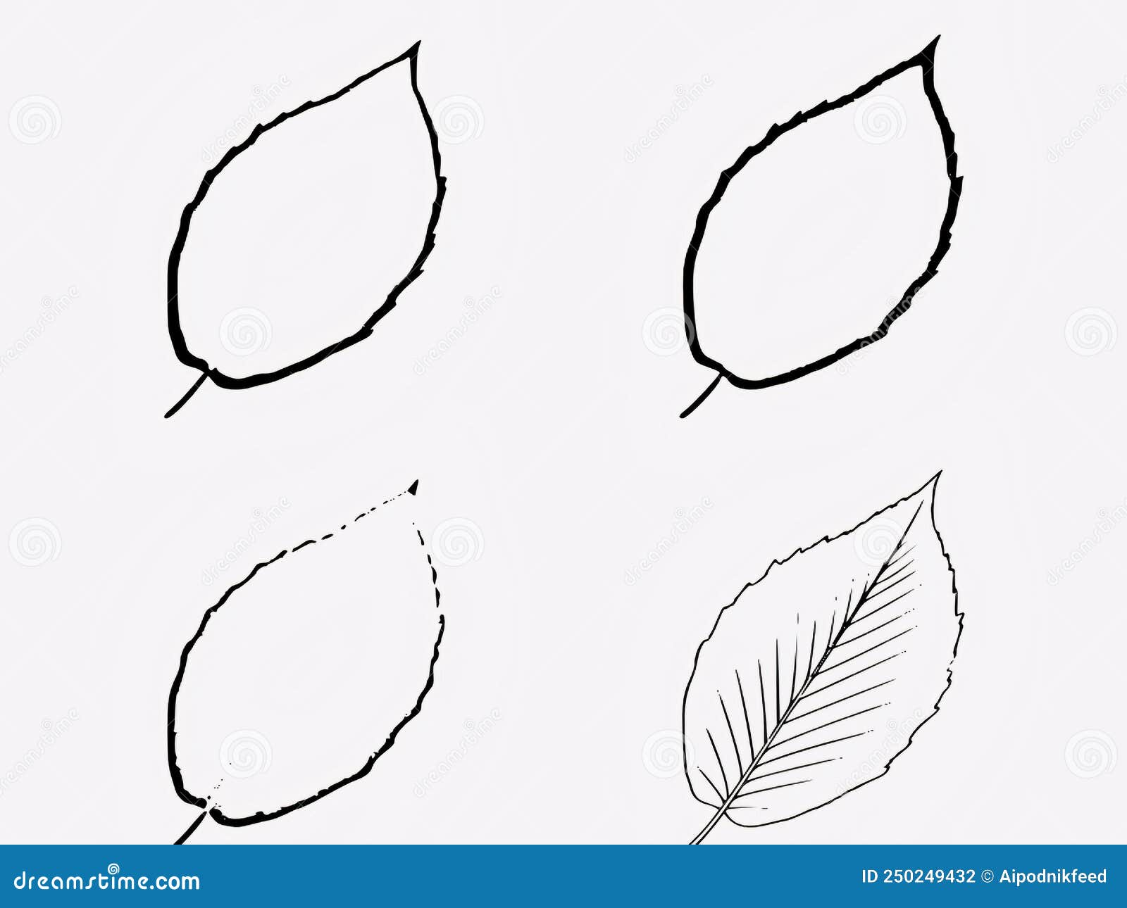Set of Drawn Tree Leaves in Vector Stock Illustration - Illustration of ...