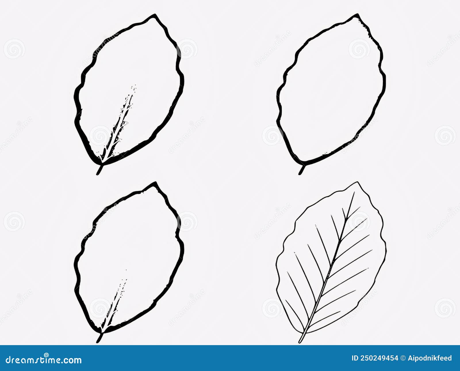 Set of Drawn Tree Leaves in Vector Stock Illustration - Illustration of ...