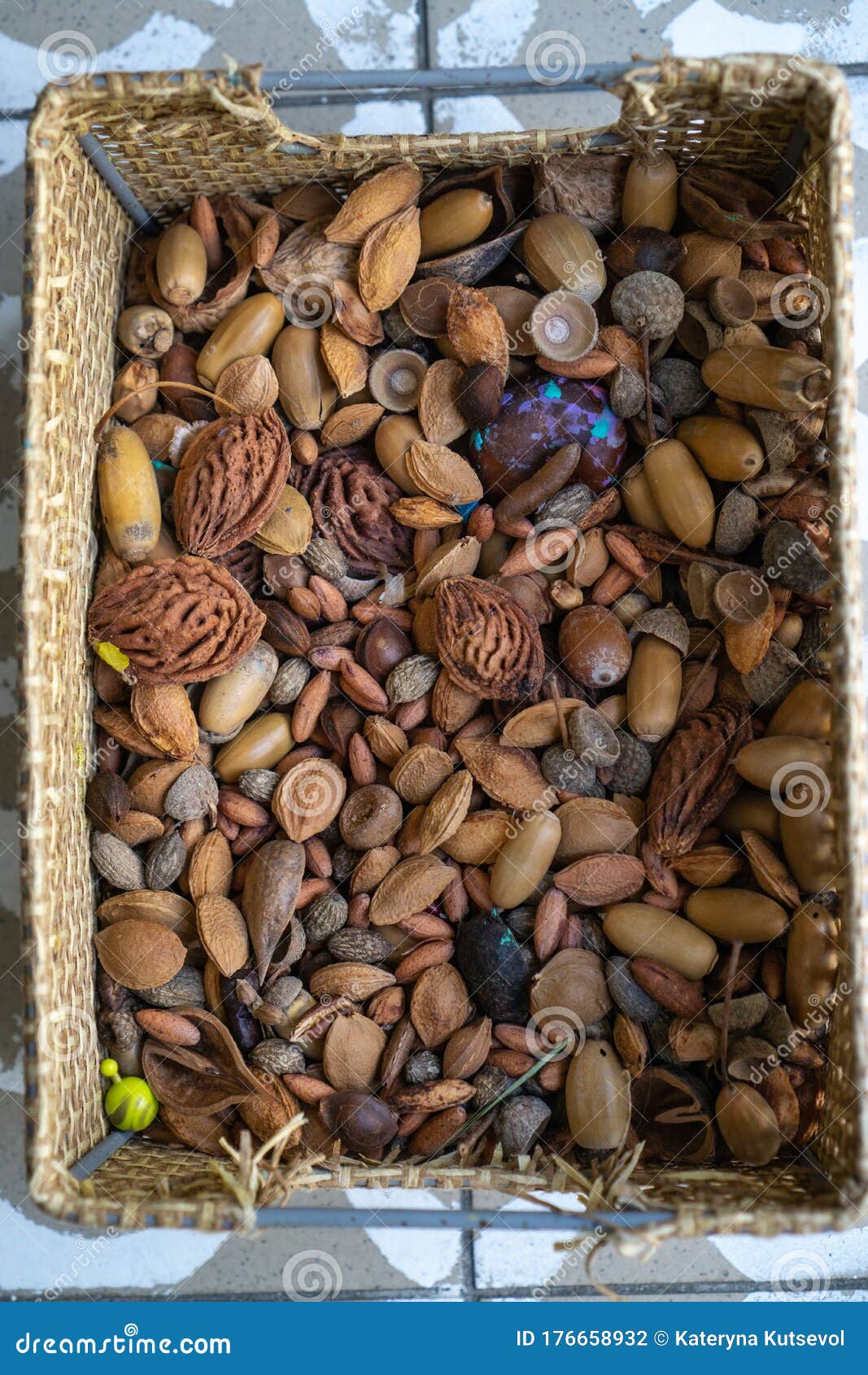 Set of Dried Fruit Bones of Different Varieties from Apricots, Sand ...