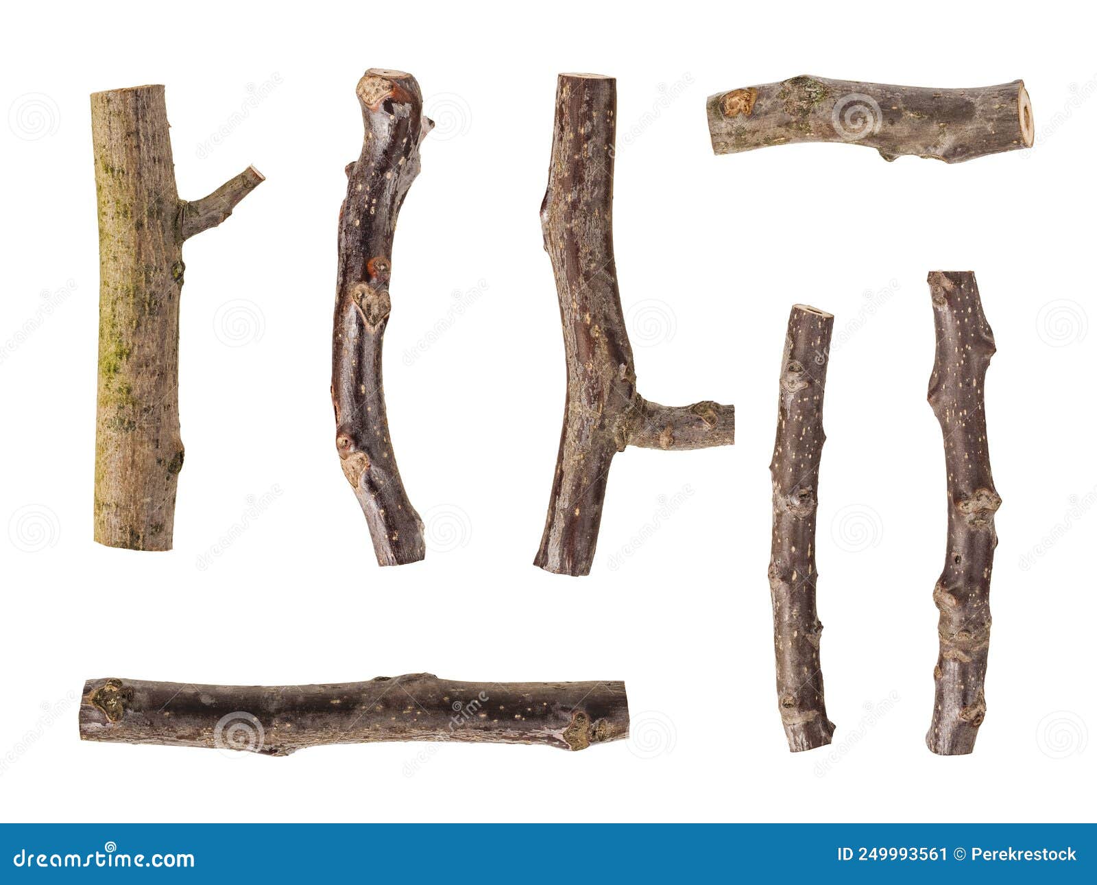 Set of Dry Tree Sticks Isolated on White Stock Image - Image of natural ...