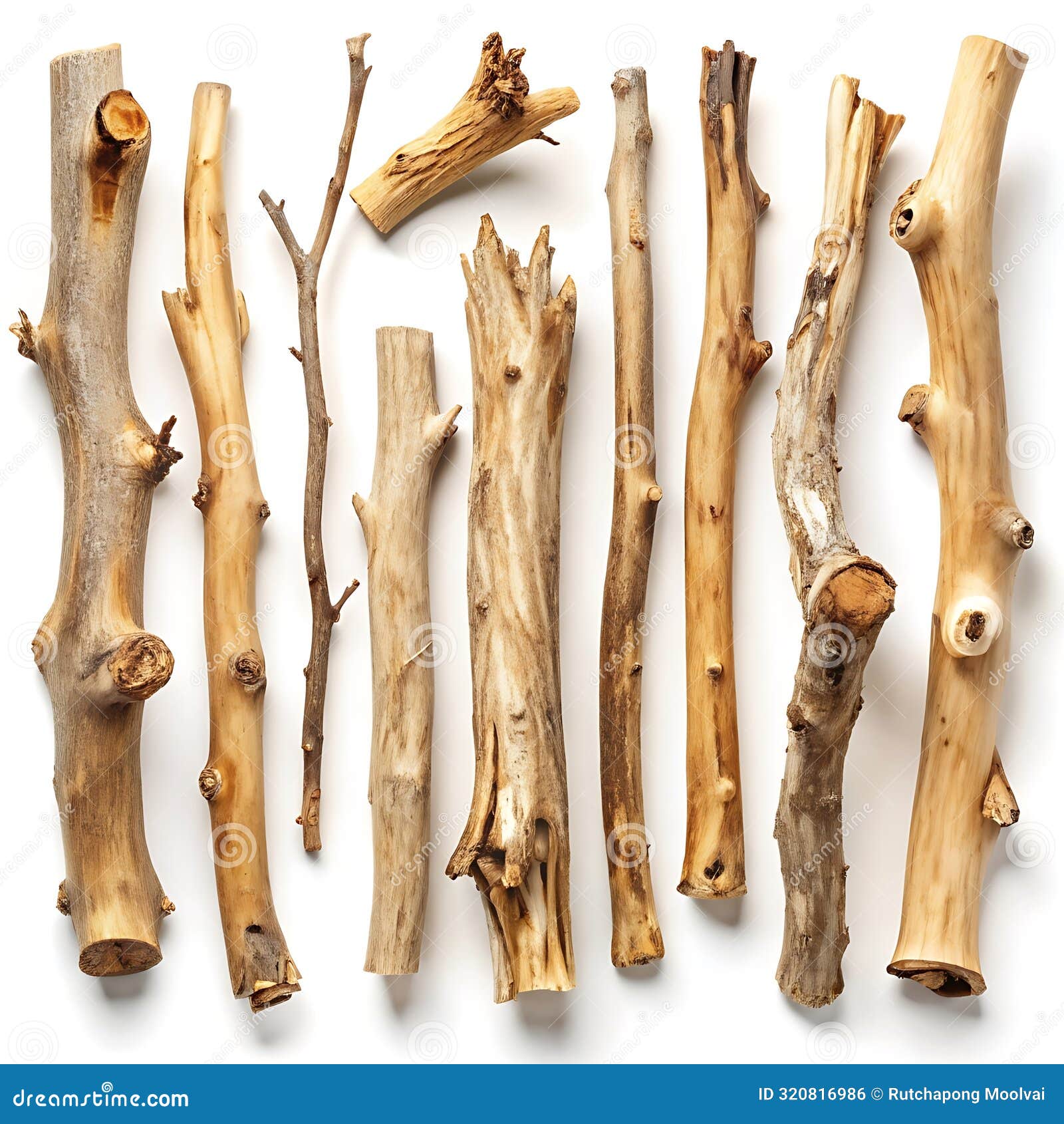 Set of Dry Wood Branches, Dry Tree Branch Isolated on a White ...