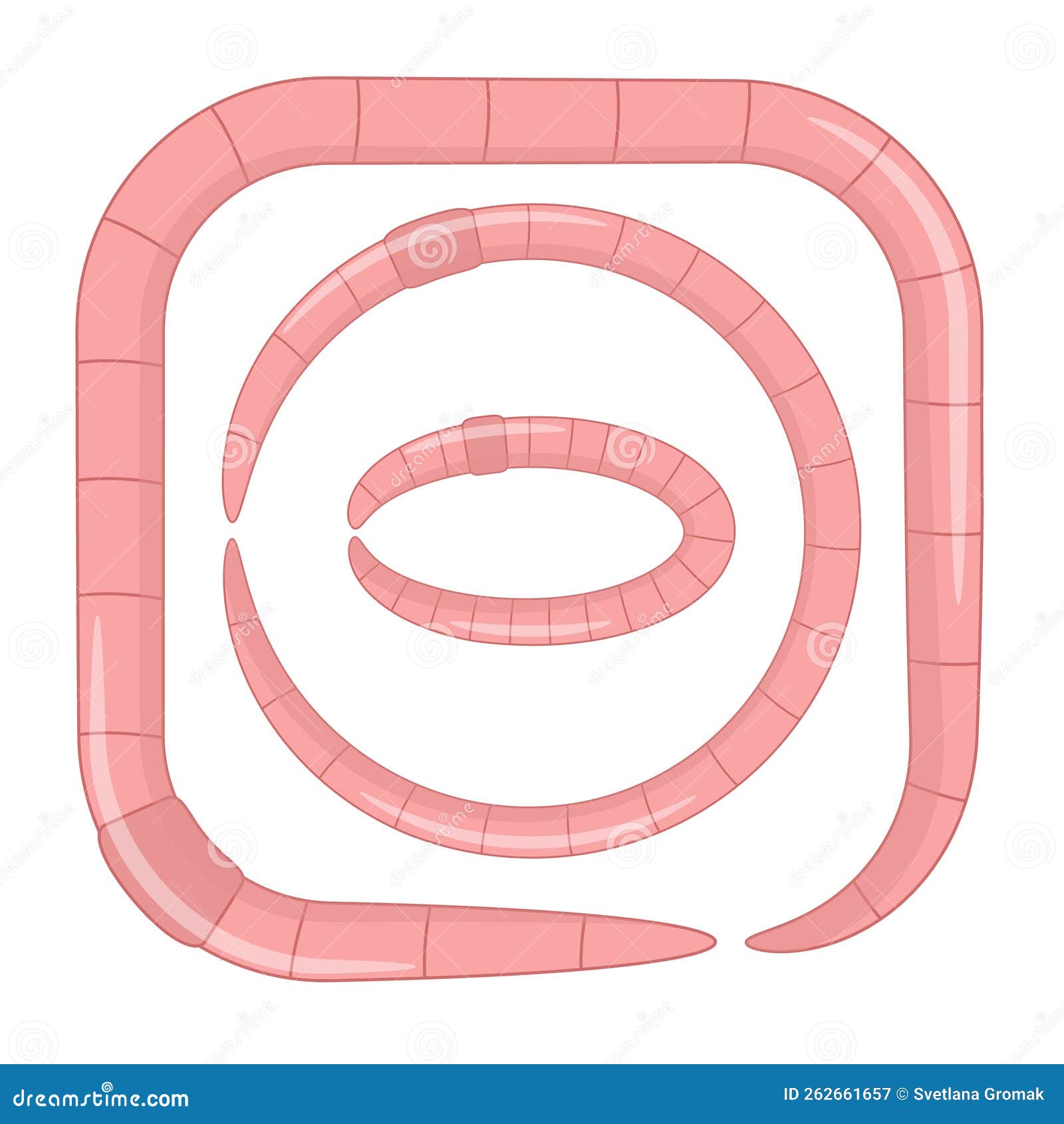 A set of earthworm frames stock vector. Illustration of nature - 262661657