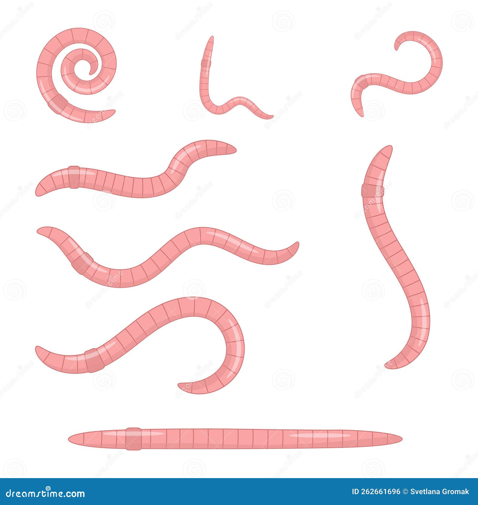A Set of Earthworms. Pink Worms of Different Shapes Stock Vector ...