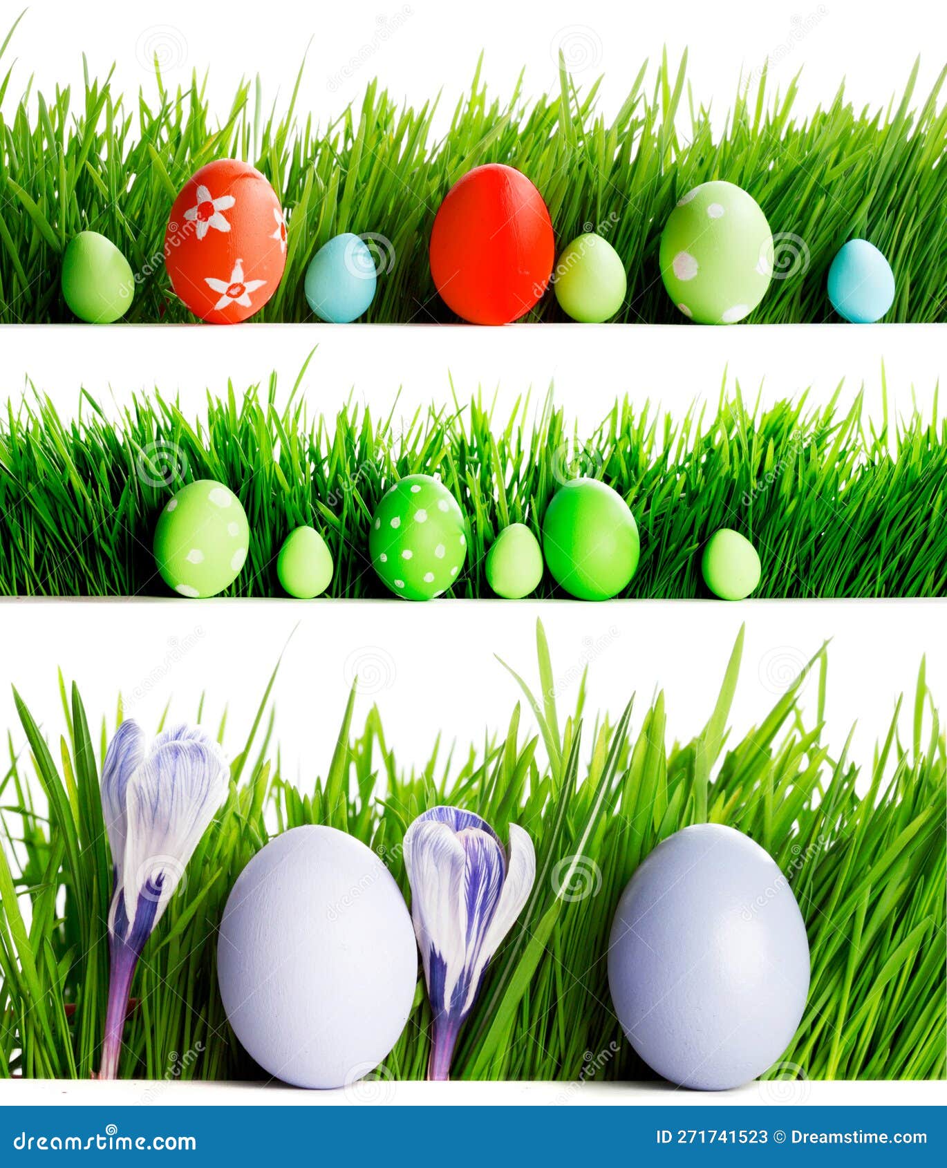 Set of Easter Eggs in Grass Stock Image - Image of white, spring: 271741523