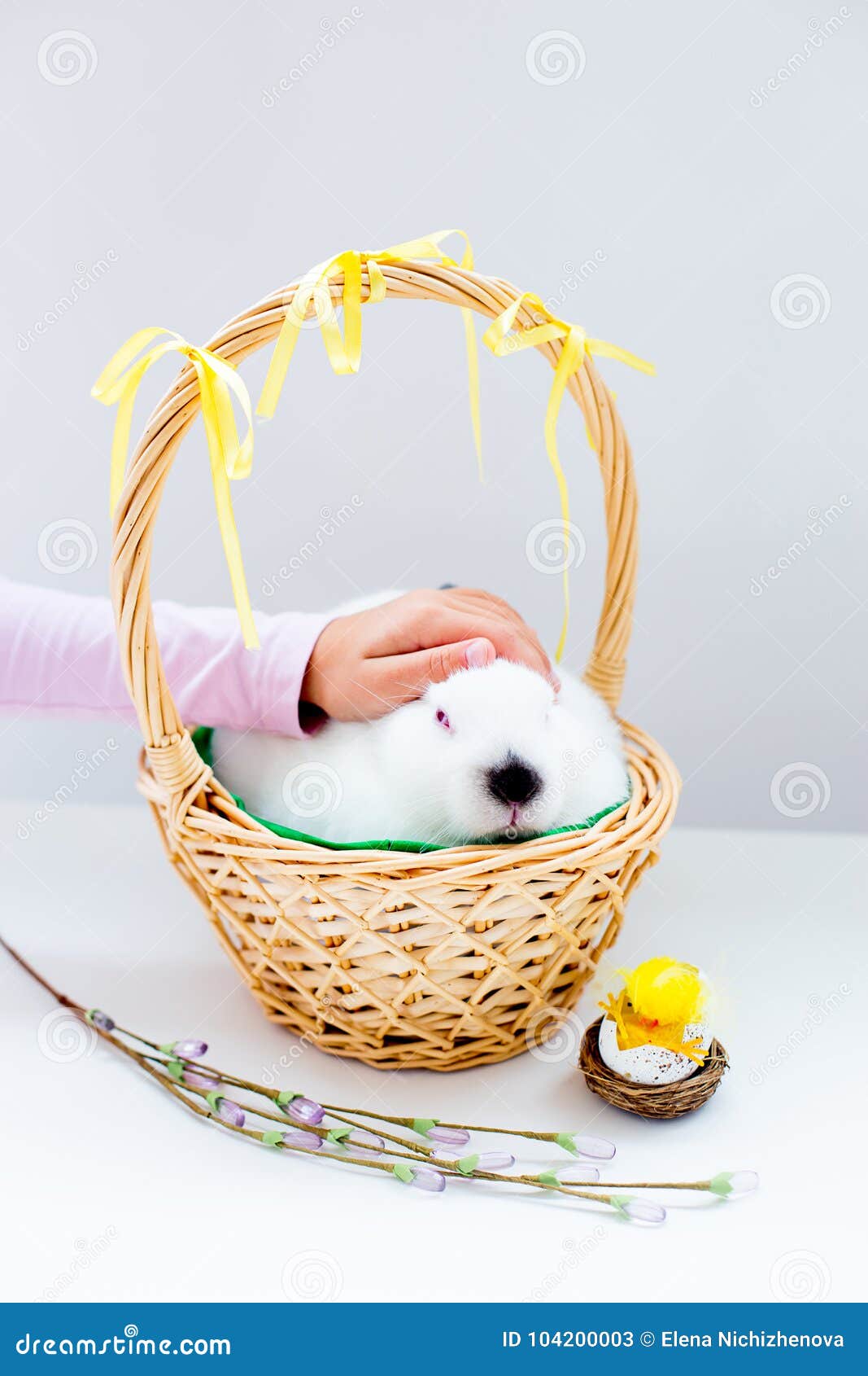 Set of easter things stock image. Image of home, funny - 104200003