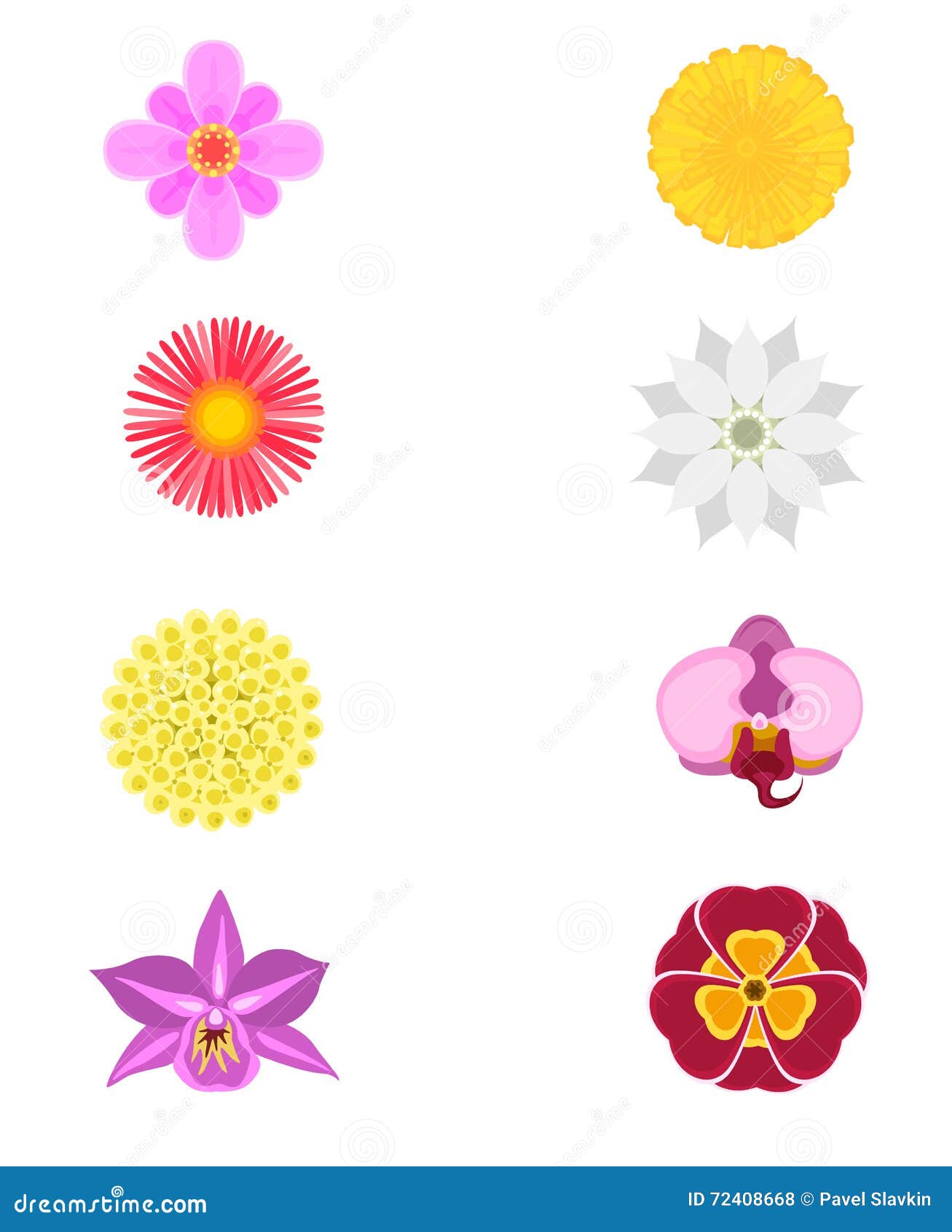 Set of eight flowers stock vector. Illustration of calla - 72408668