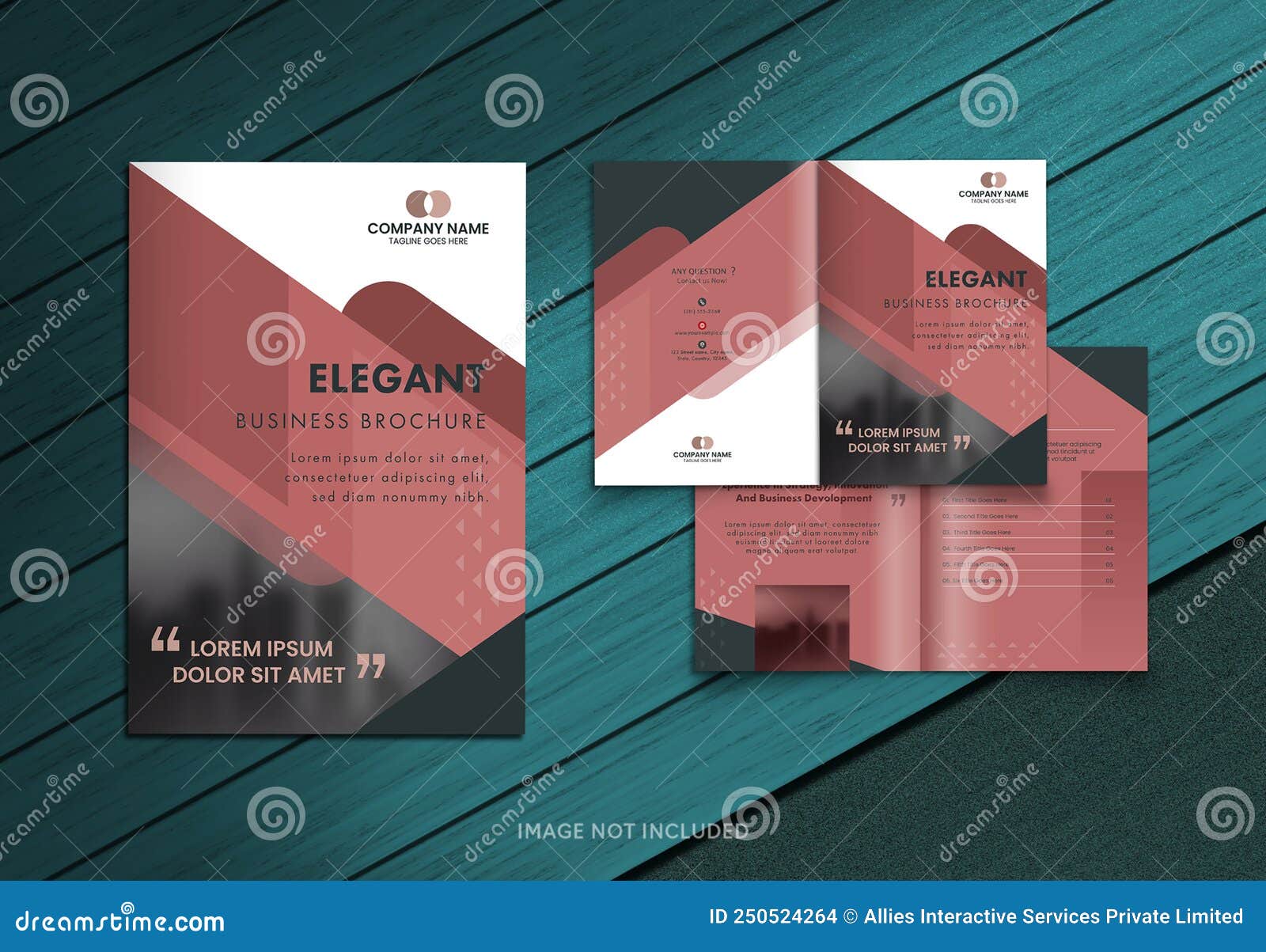 Set of Elegant Bi-Fold Brochure Template Layout for Business Stock ...