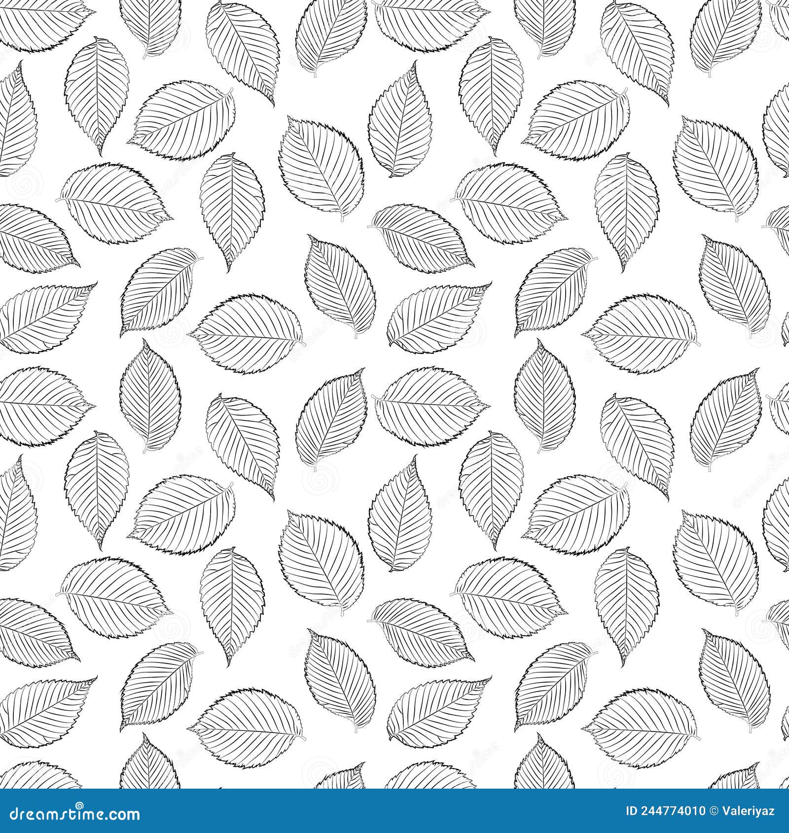 A Set of Elm Leaves Seamless Pattern, 1000x1000, Vector Graphics. Stock ...
