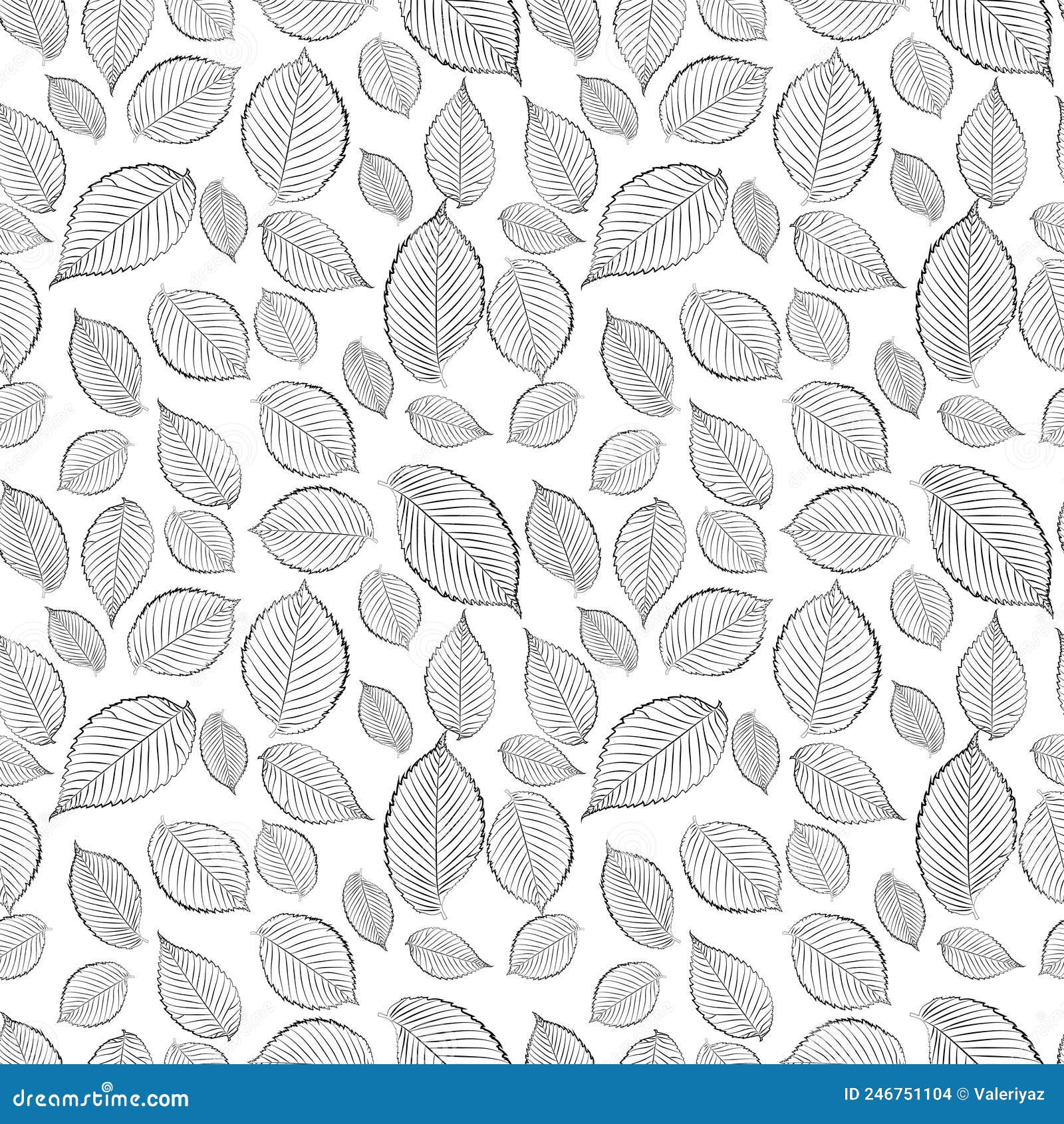 A Set of Elm Leaves Seamless Pattern, 1000x1000, Vector Graphics. Stock ...