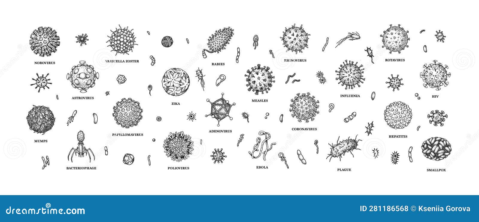 Viruses Types, Set Of Vector Images. Coronavirus. | CartoonDealer.com ...
