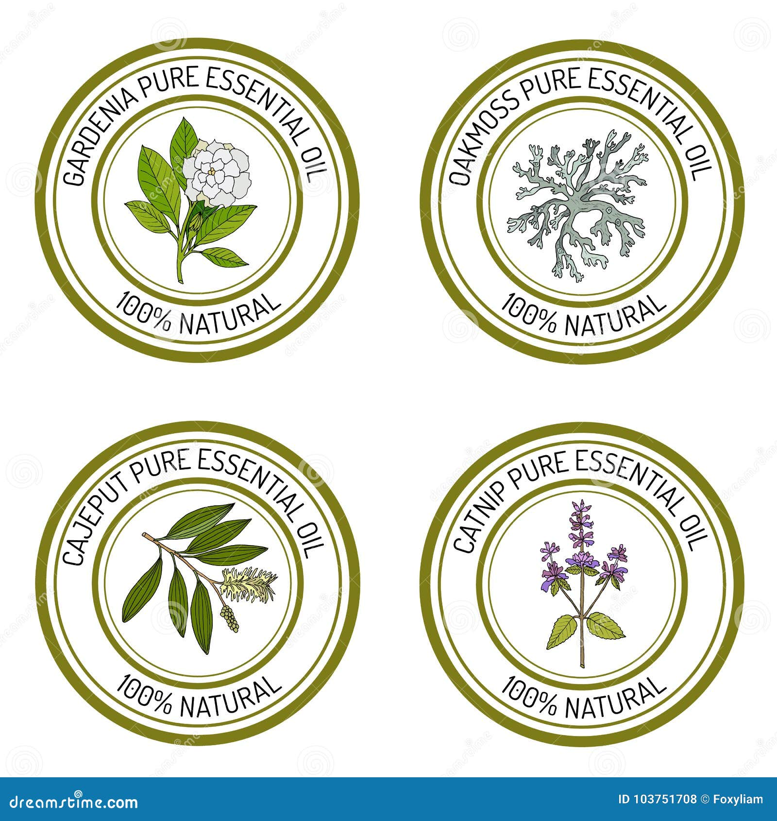 Set of Essential Oil Labels Stock Vector - Illustration of essential ...