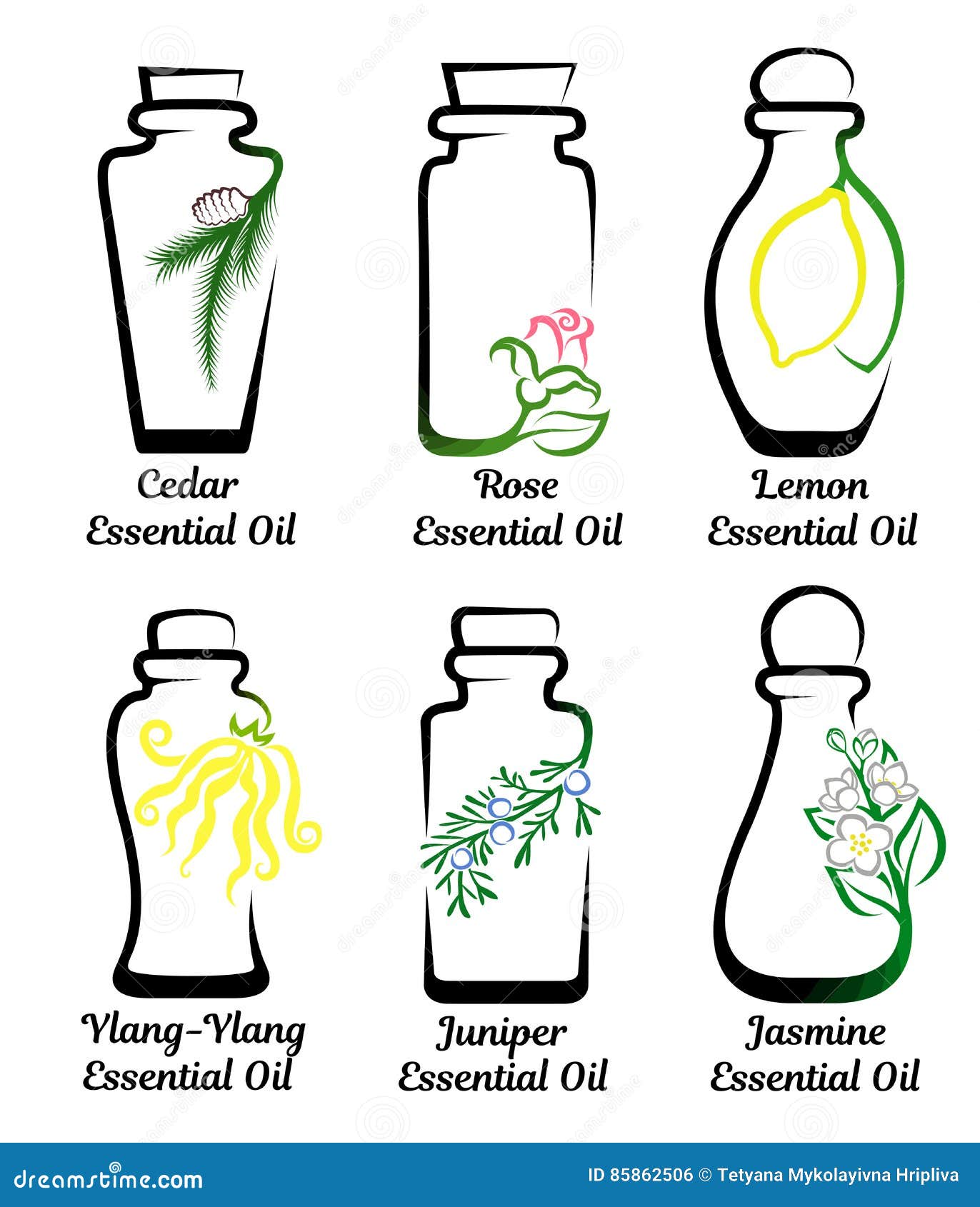 Set of essential oils stock vector. Illustration of cedar - 85862506