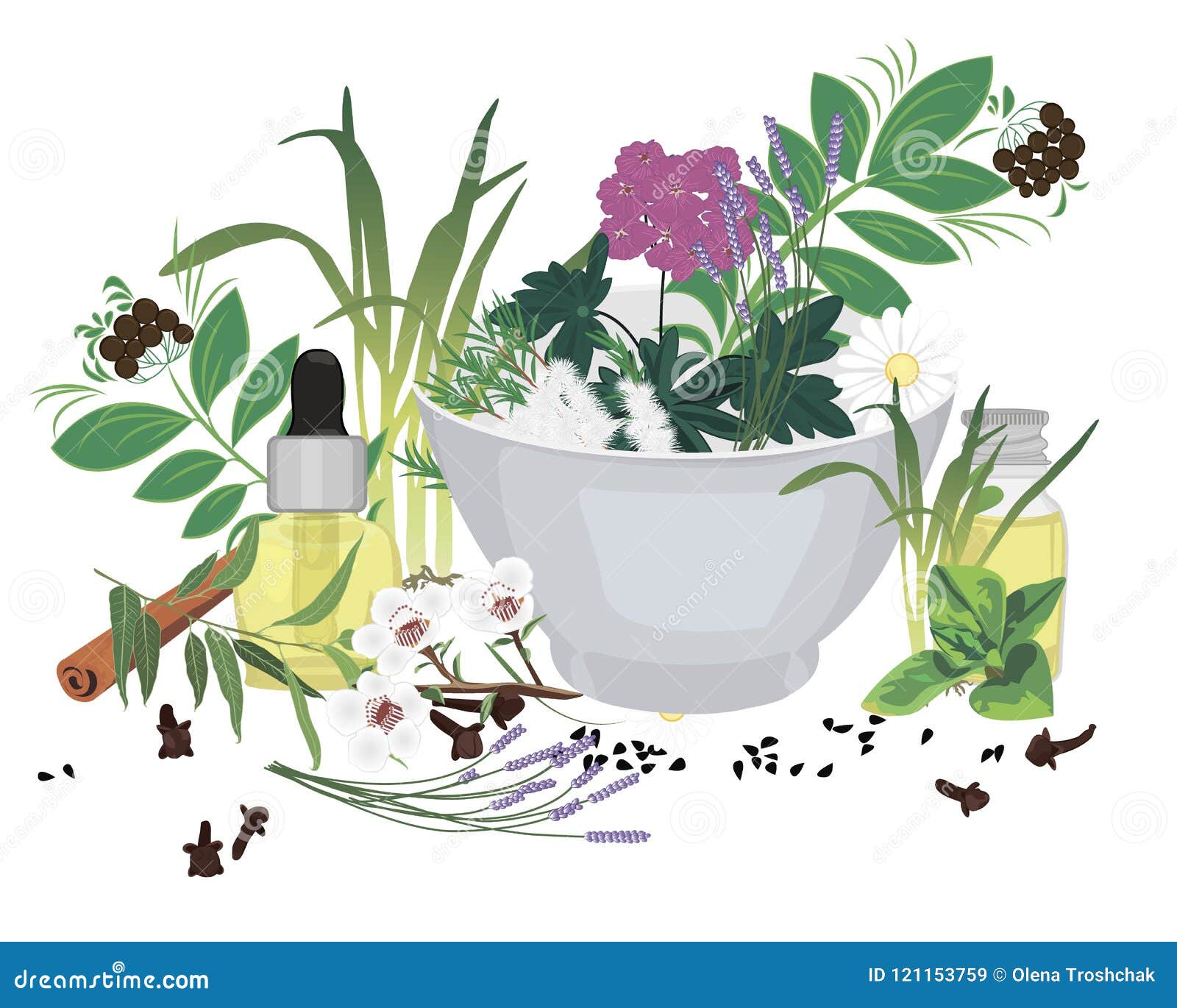 Set of Essential Oils Vector Illustration Stock Vector - Illustration ...