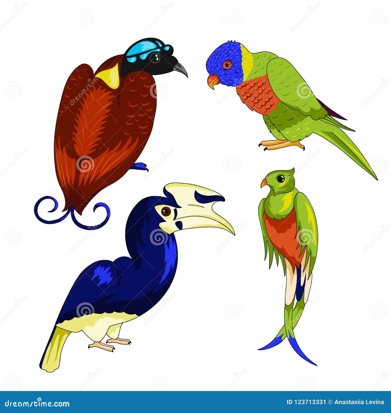 Set of exotic birds stock vector. Illustration of animal - 123713331