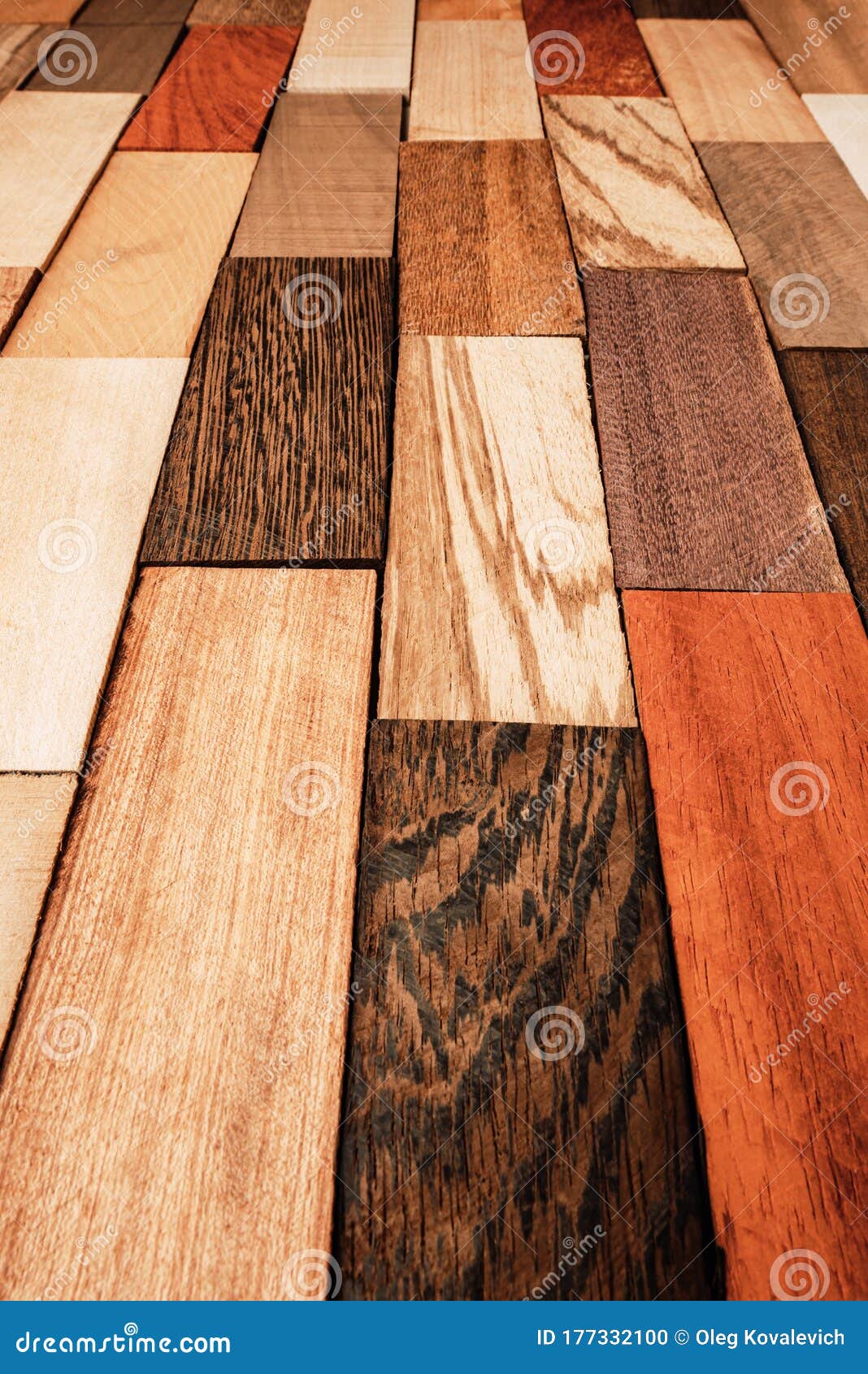 Set of Exotic Valuable Wood for the Catalog, Texture and Structure ...