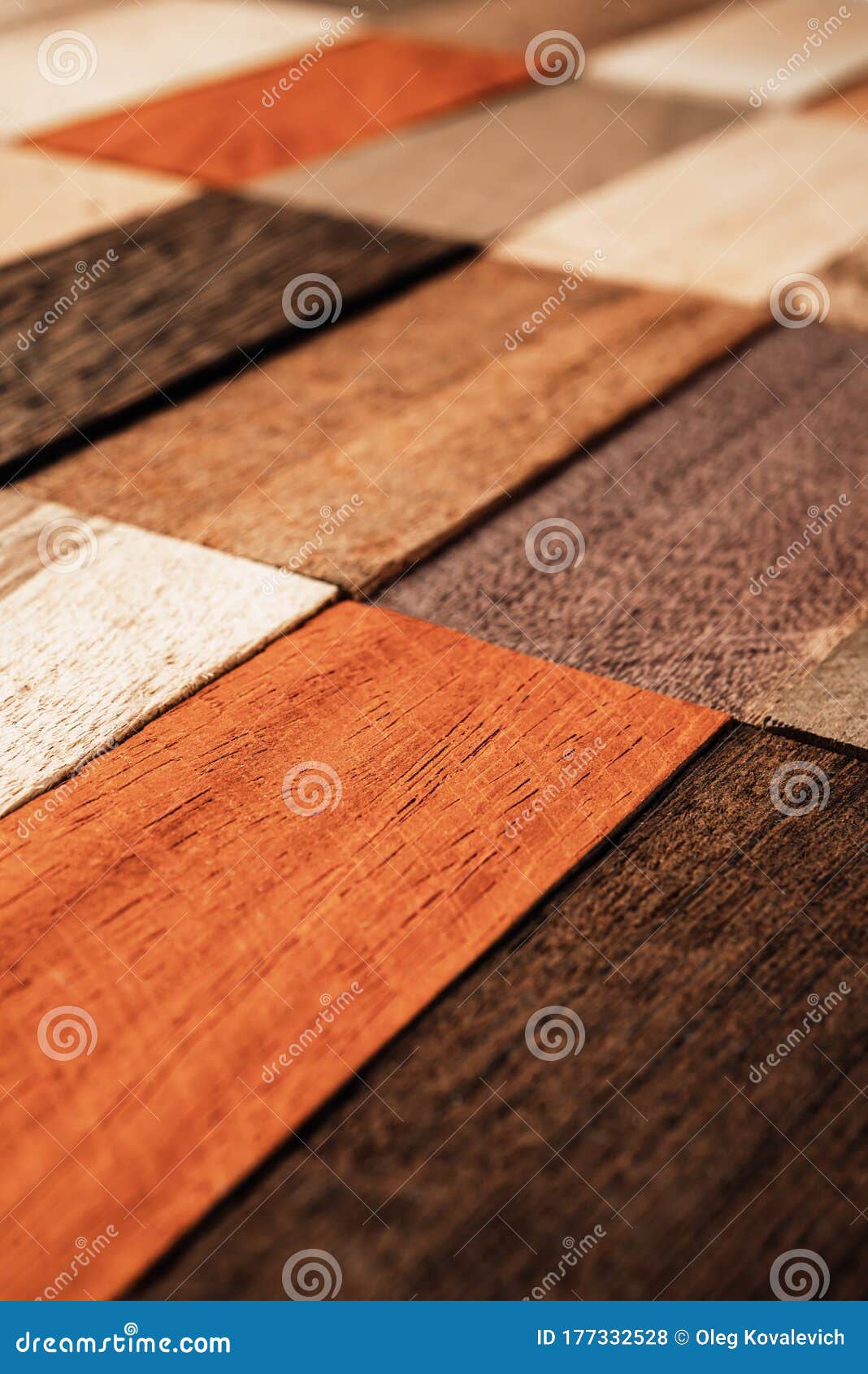 Set of Exotic Valuable Wood for the Catalog, Texture and Structure ...
