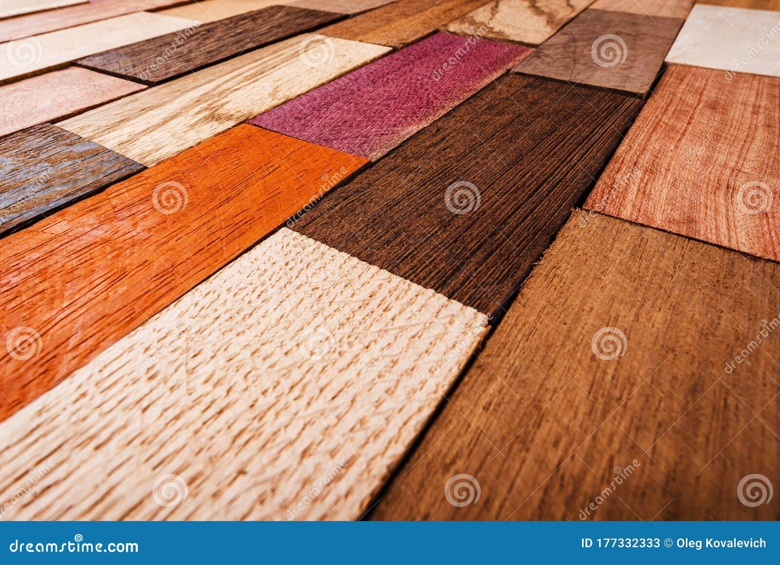 Set of Exotic Valuable Wood for the Catalog, Texture and Structure ...
