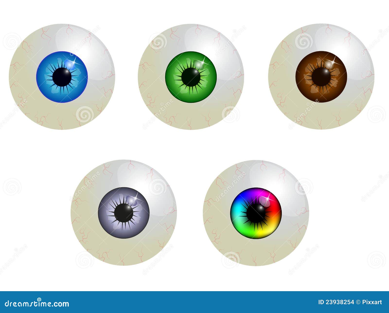 Set of eyeballs stock vector. Illustration of iris, rainbow - 23938254